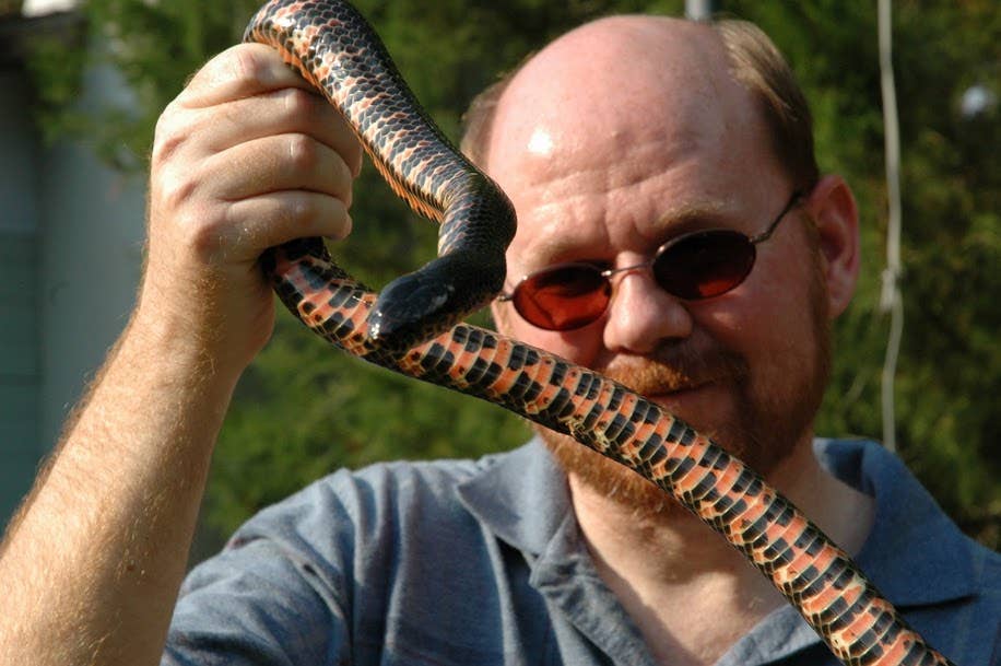 How to Find Snakes on Your Property - Dengarden