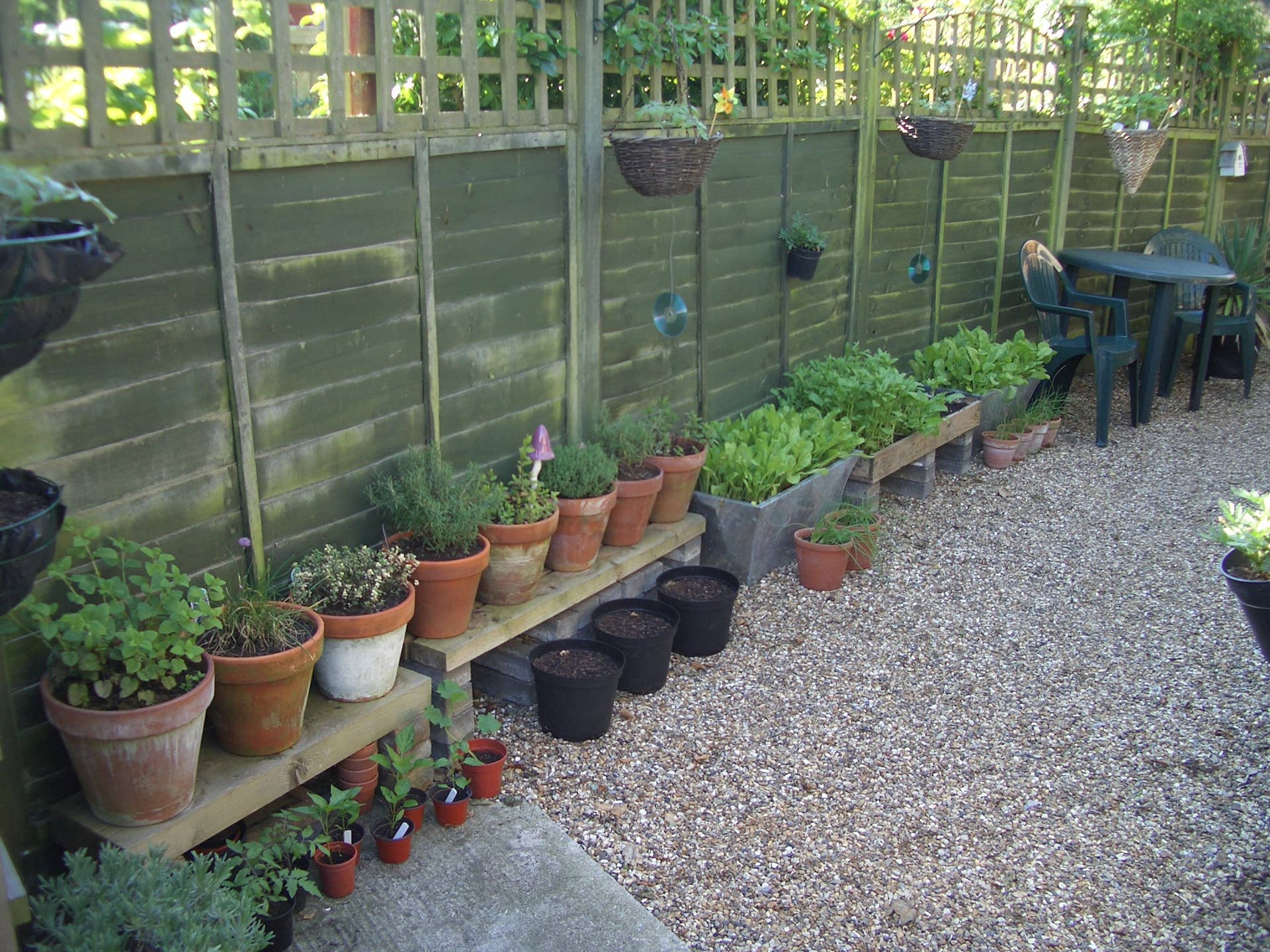How to Grow Your Own Vegetables in Pots and Containers - Dengarden