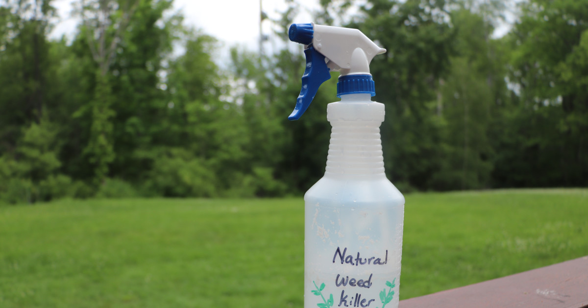 How to Get Rid of Weeds Naturally With Homemade Weed Killer - Dengarden