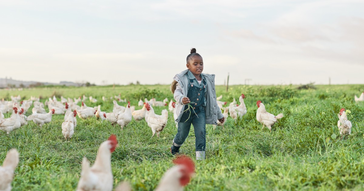 12 Easy Tricks for Keeping Predators Away From Your Garden and Flock ...