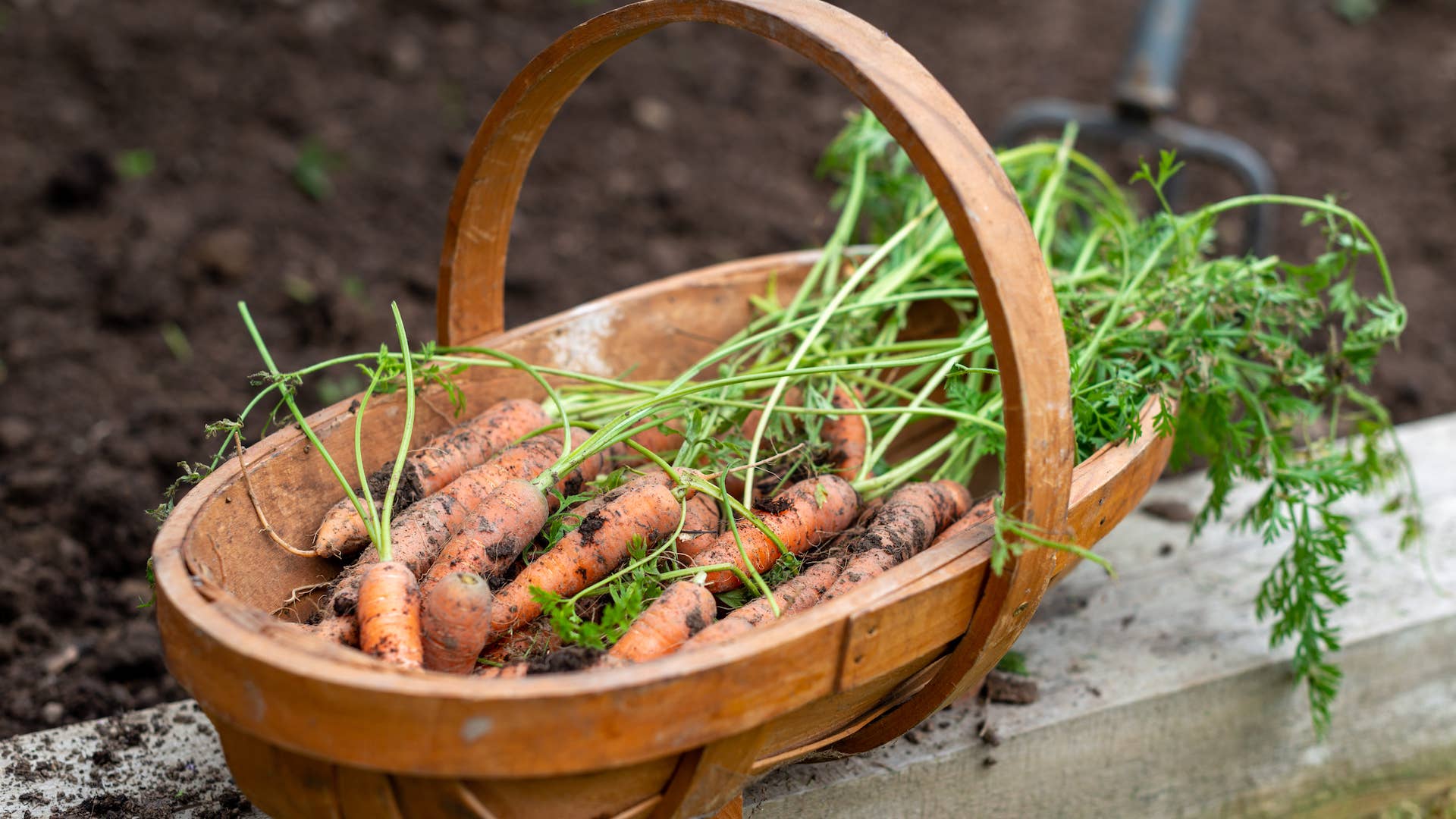 Make a Rustic Trug Basket Out of Backyard Sticks - Dengarden