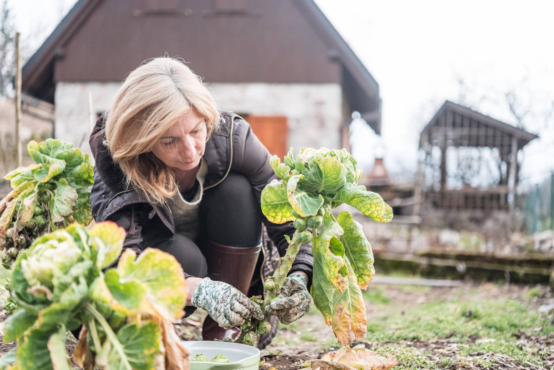 Don’t Throw It Away! Use These Normally Trashed Items to Help You Grow ...