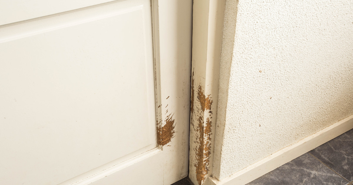 DIYer Shows Step-by-Step How to Fix Deep Scratches in Doors