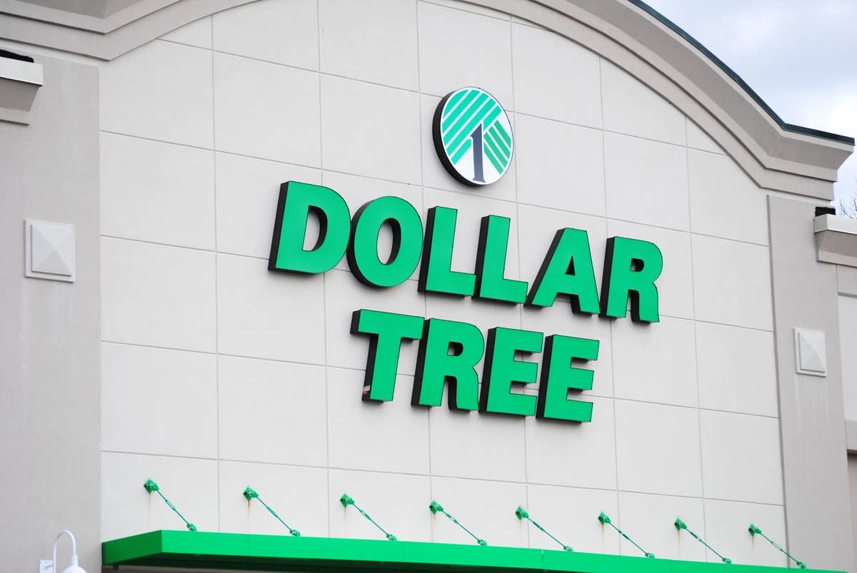 Organize Your Entire Home With These Hacks From Dollar Tree - Dengarden