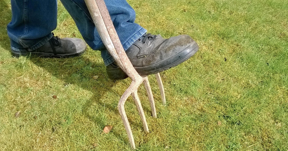 How, When, and Why to Aerate Your Lawn or Soil - Dengarden