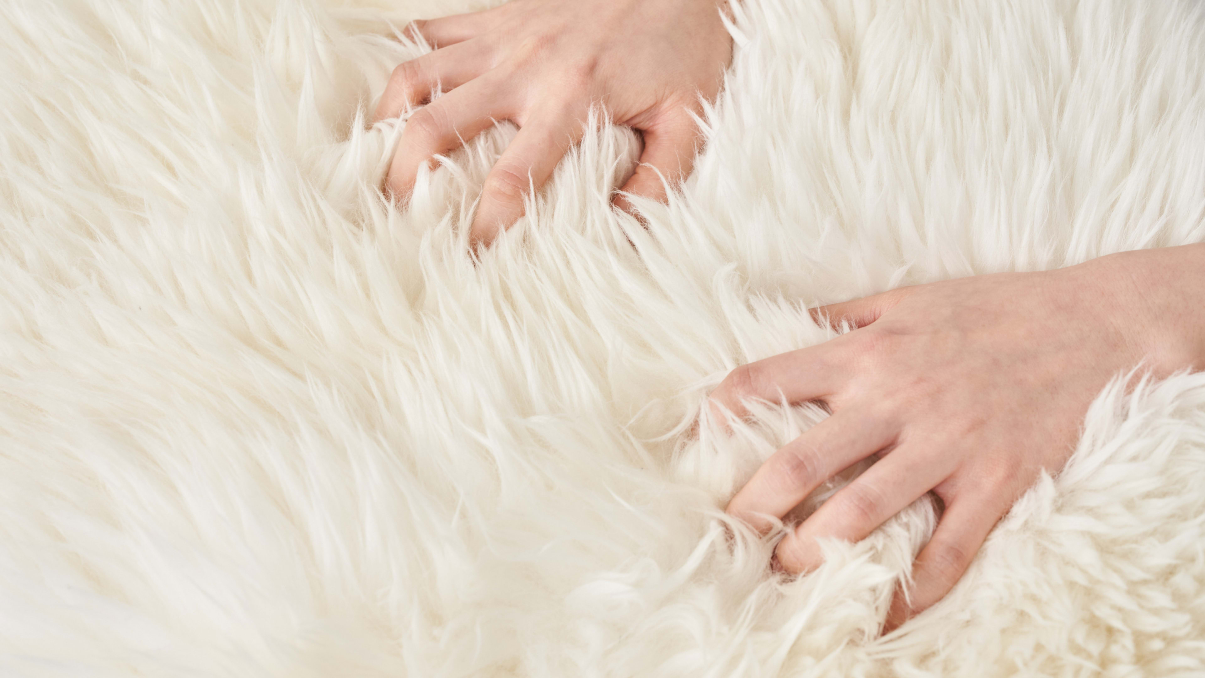 6 Spring Dollar Tree Home Finds That Don’t Scream “Cheap” Even Though ...