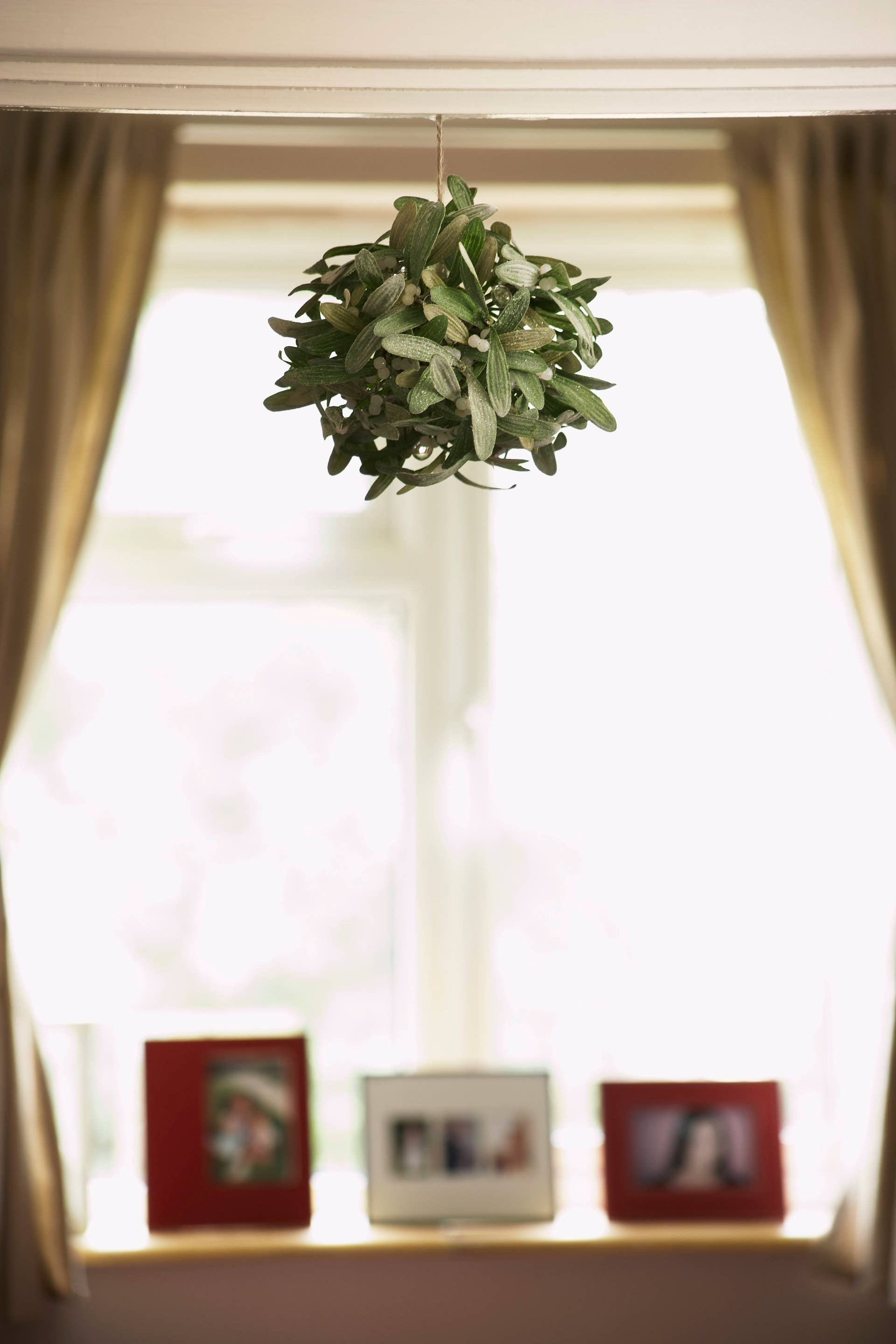 Fake Plant