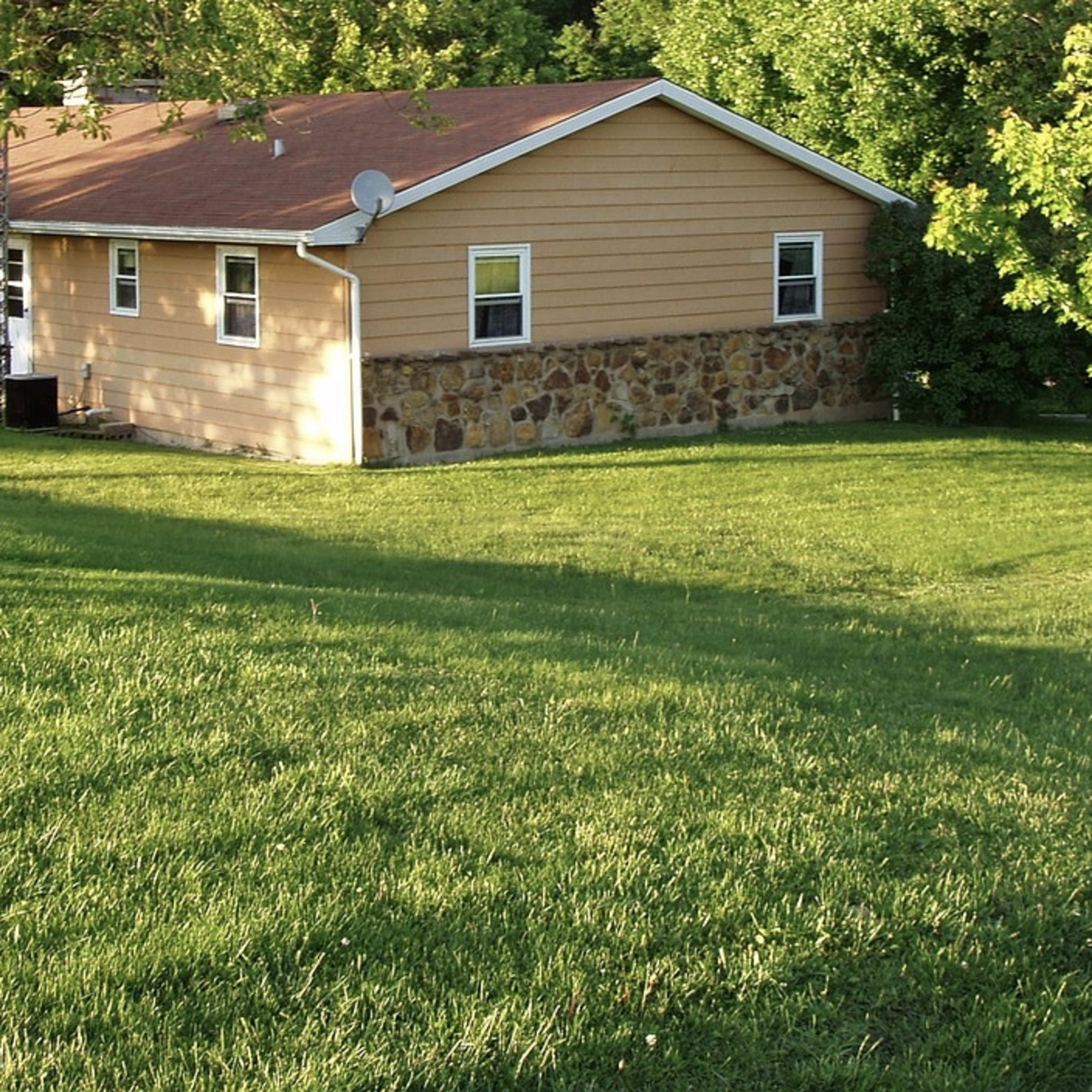 Muntries ("Kunzea pomifera"): Australian Native Plant Profile