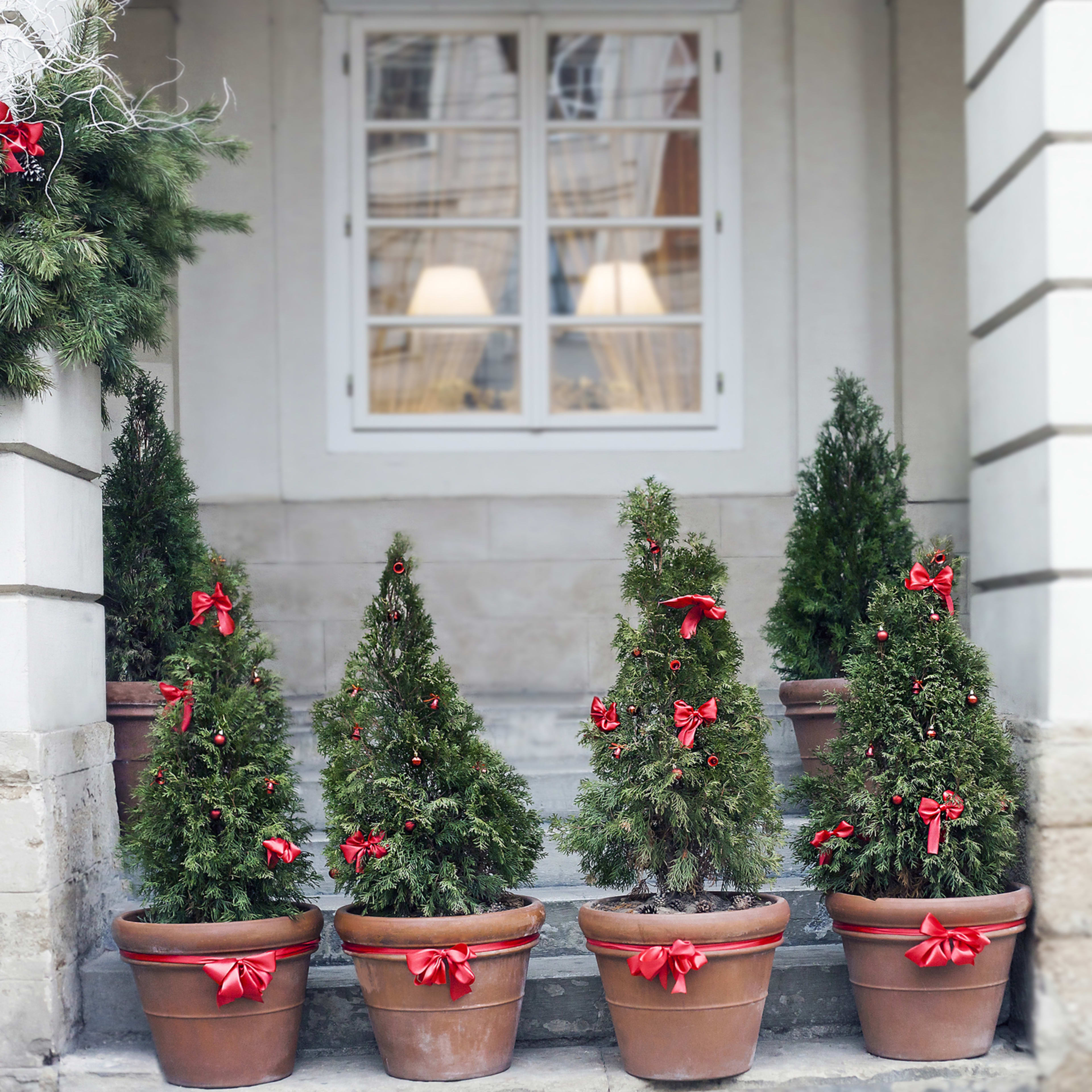 Costco Is Selling Dreamy Rifle Paper Co. Accent Rugs for $34.99 - Dengarden