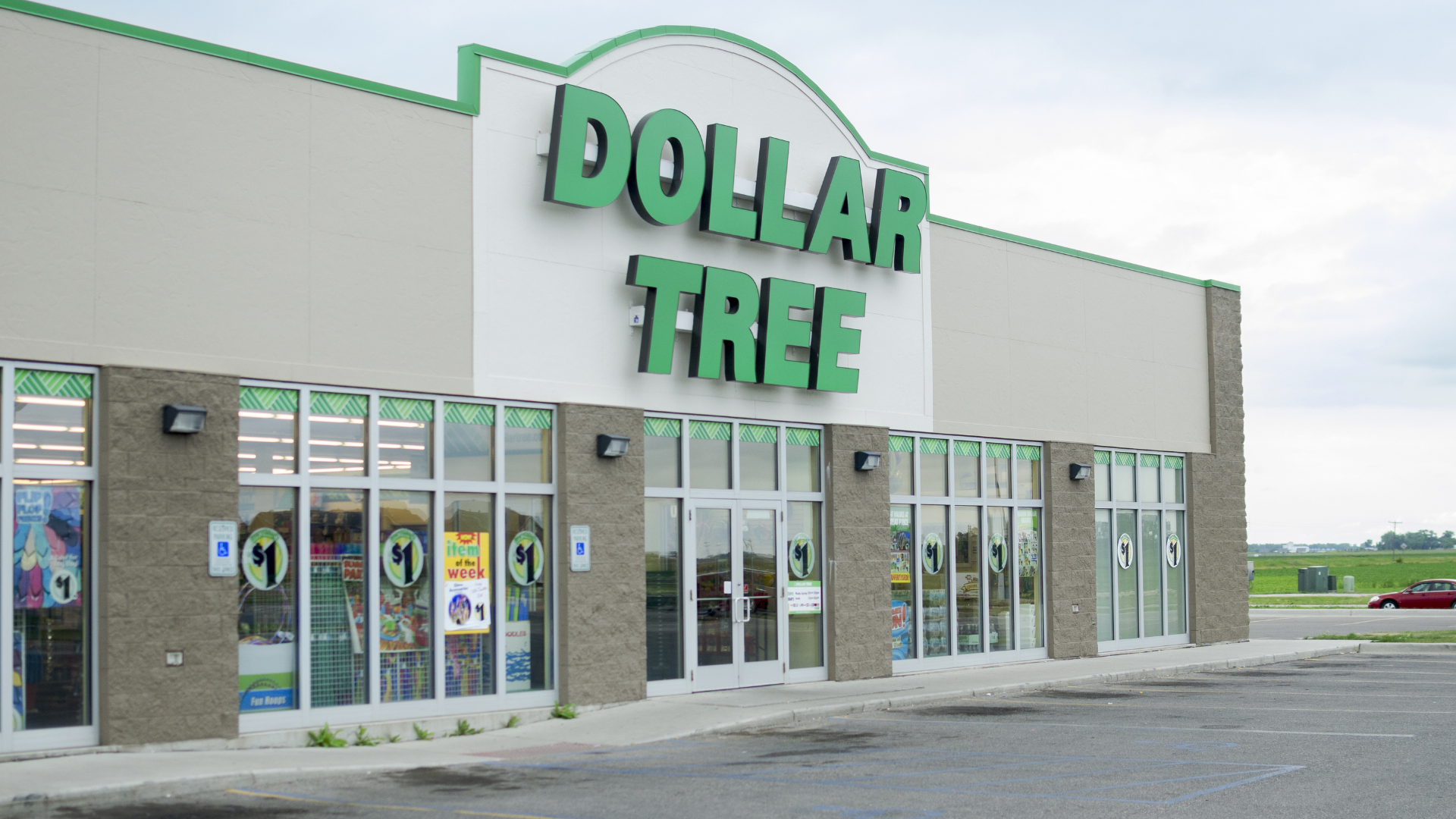 Master Gardener Gives the Lowdown on Which Dollar Tree Gardening ...