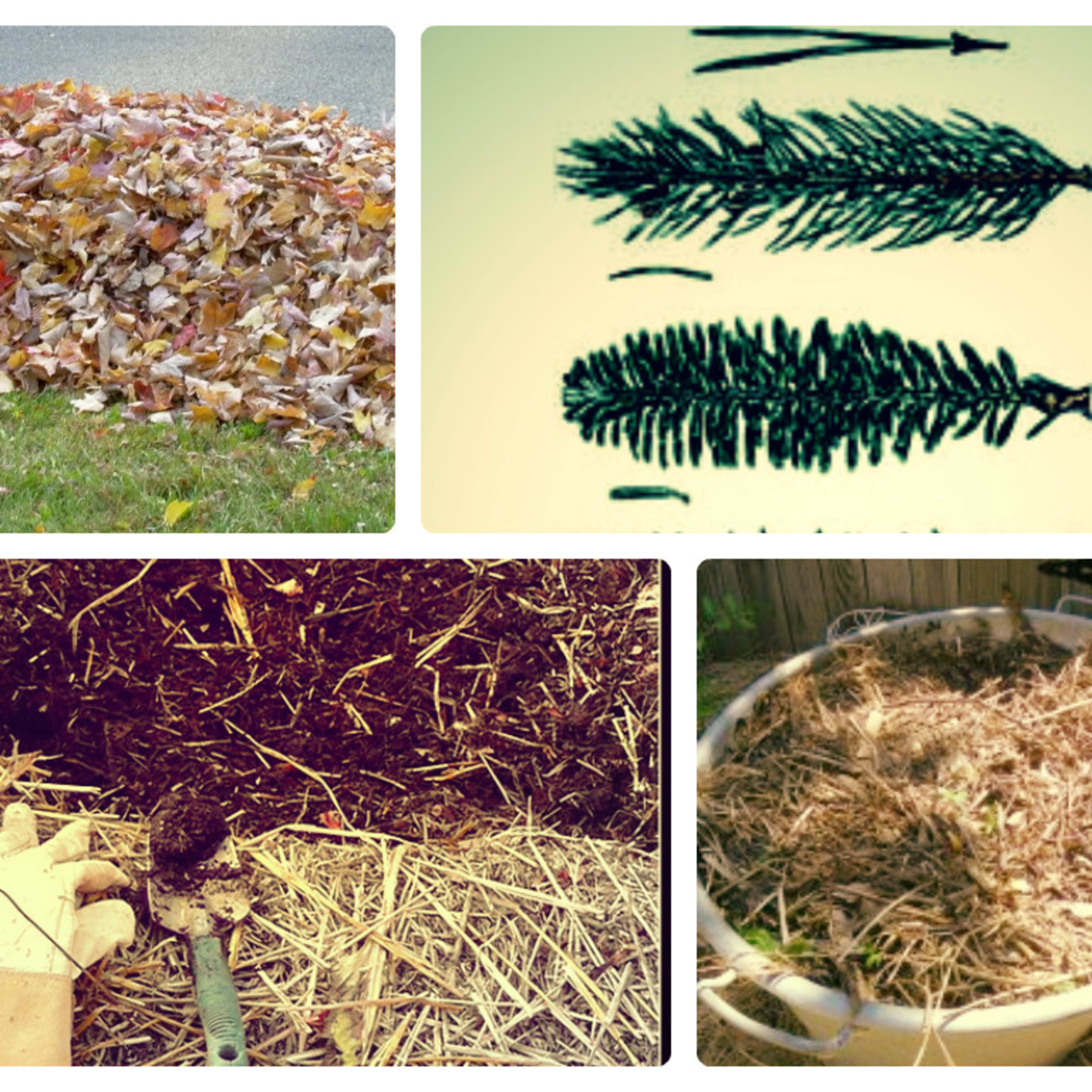 Composting and Vermiculture