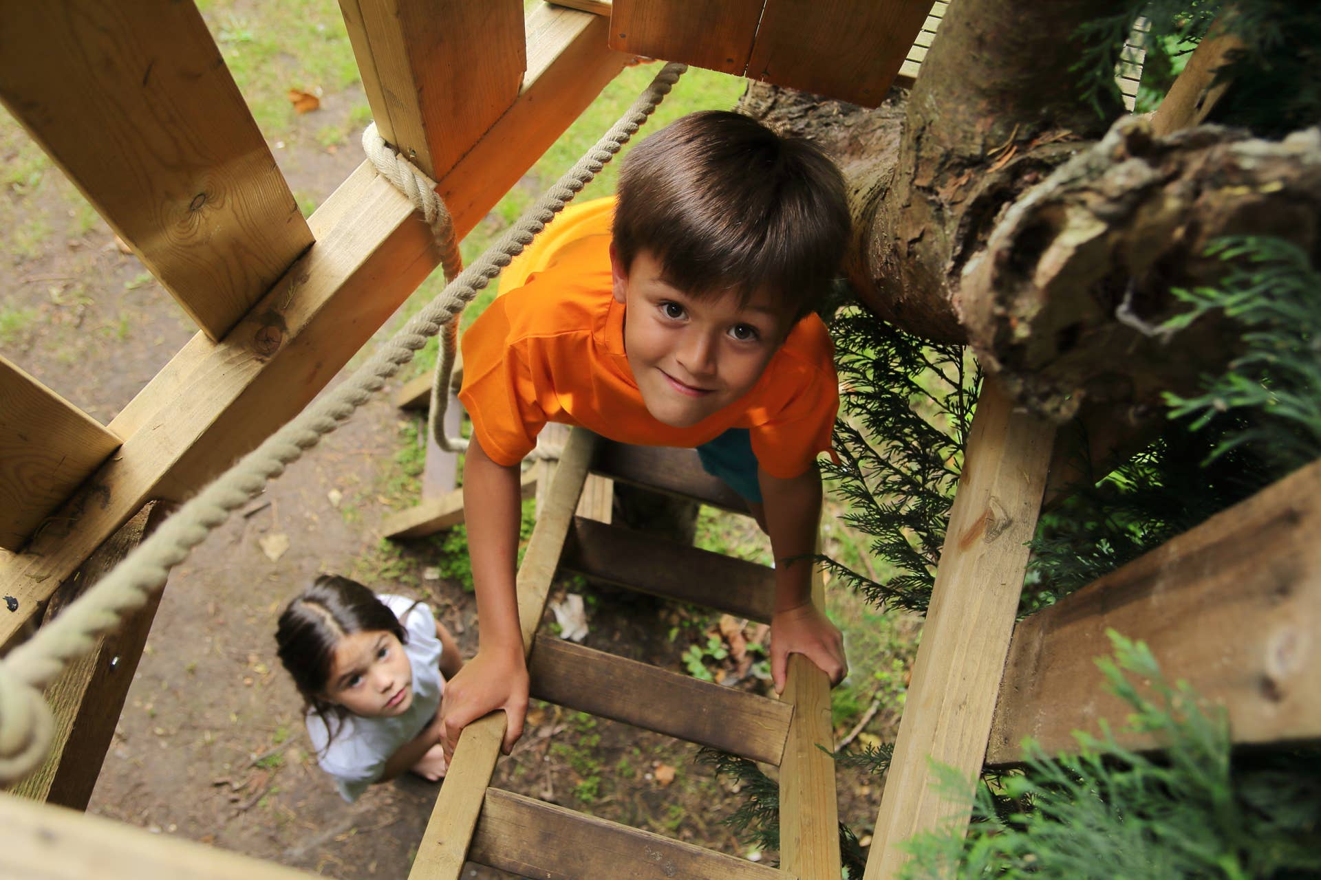 Treehouse