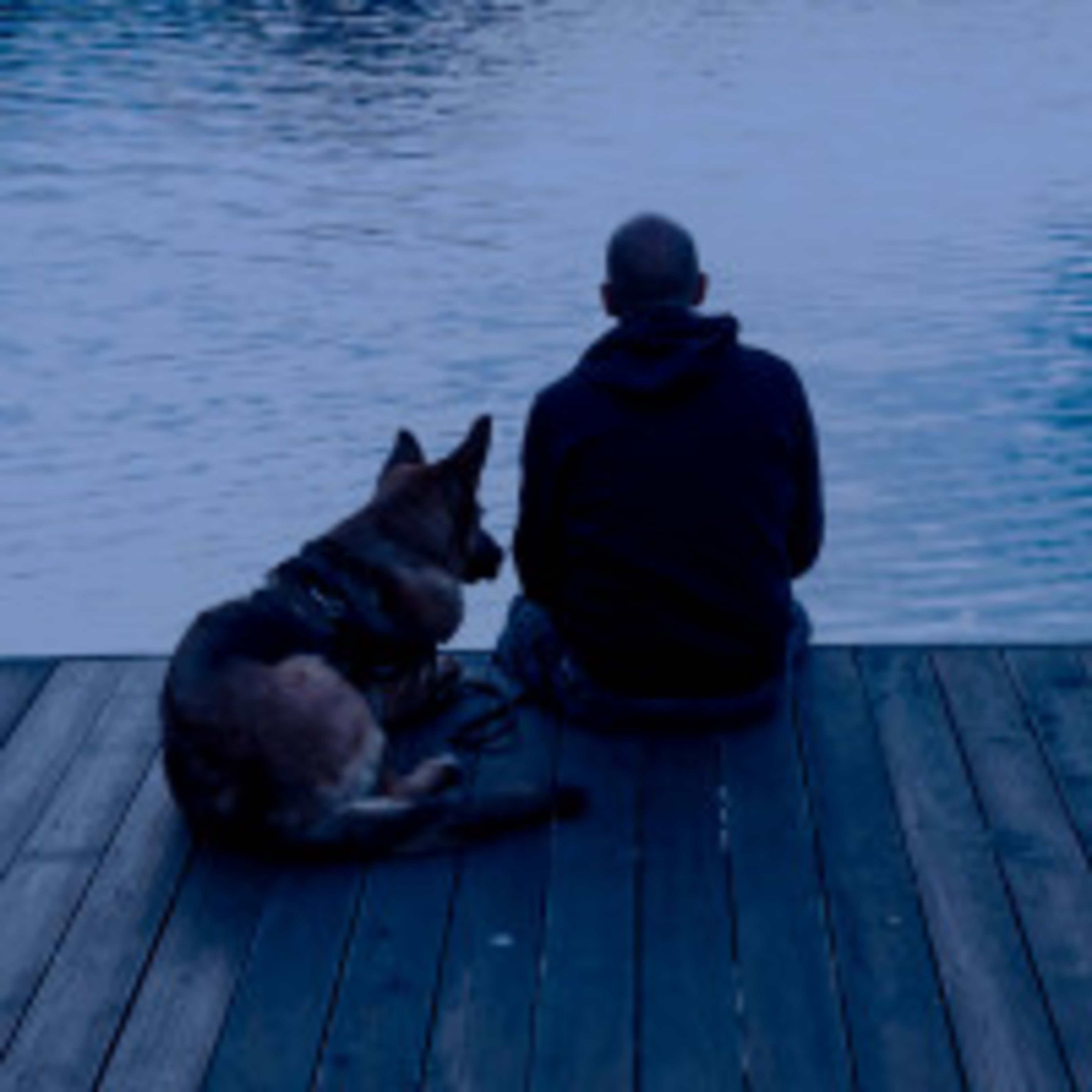 100 Different Types of Roses - Dengarden