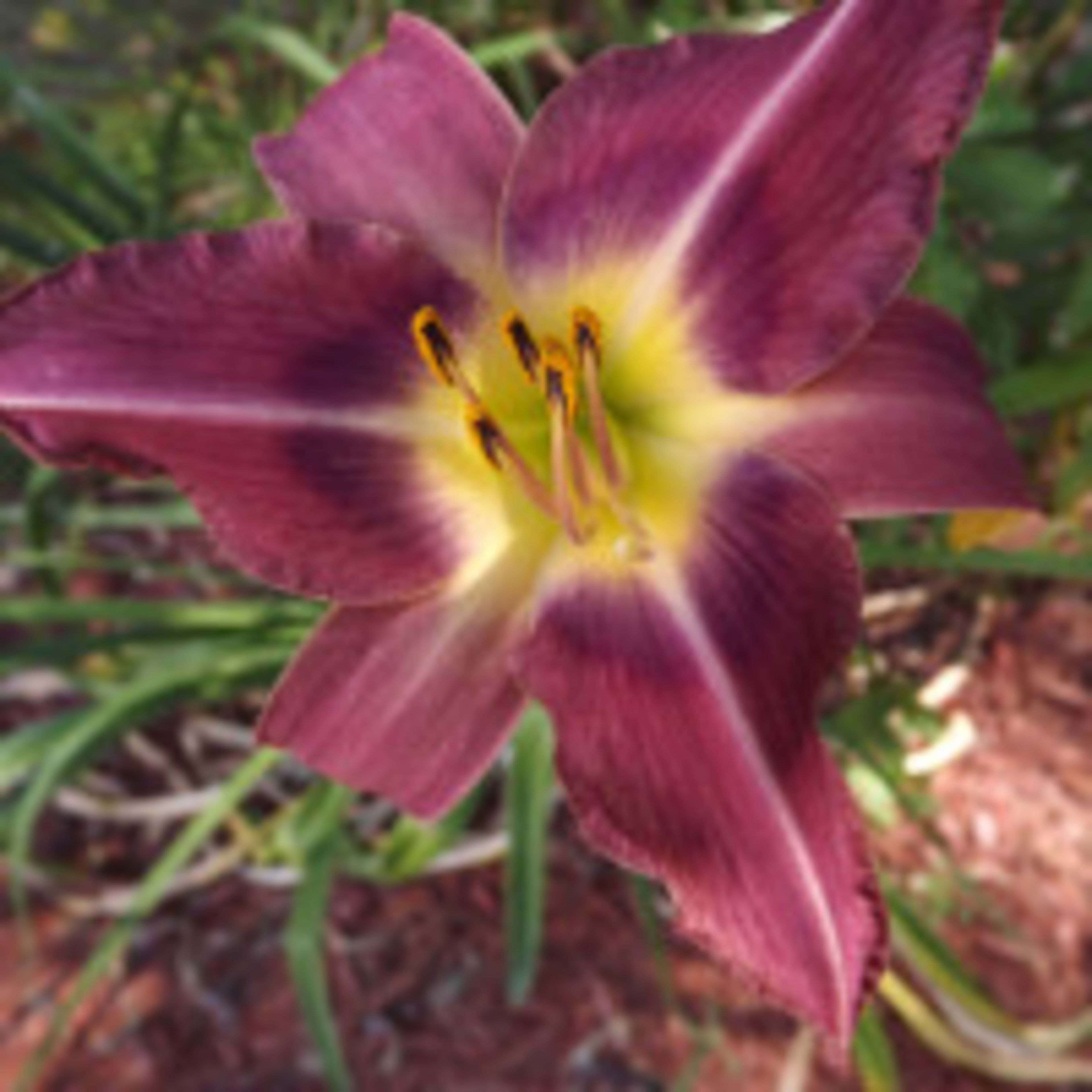 How to Remove Pen Ink Stains From Clothes - Dengarden