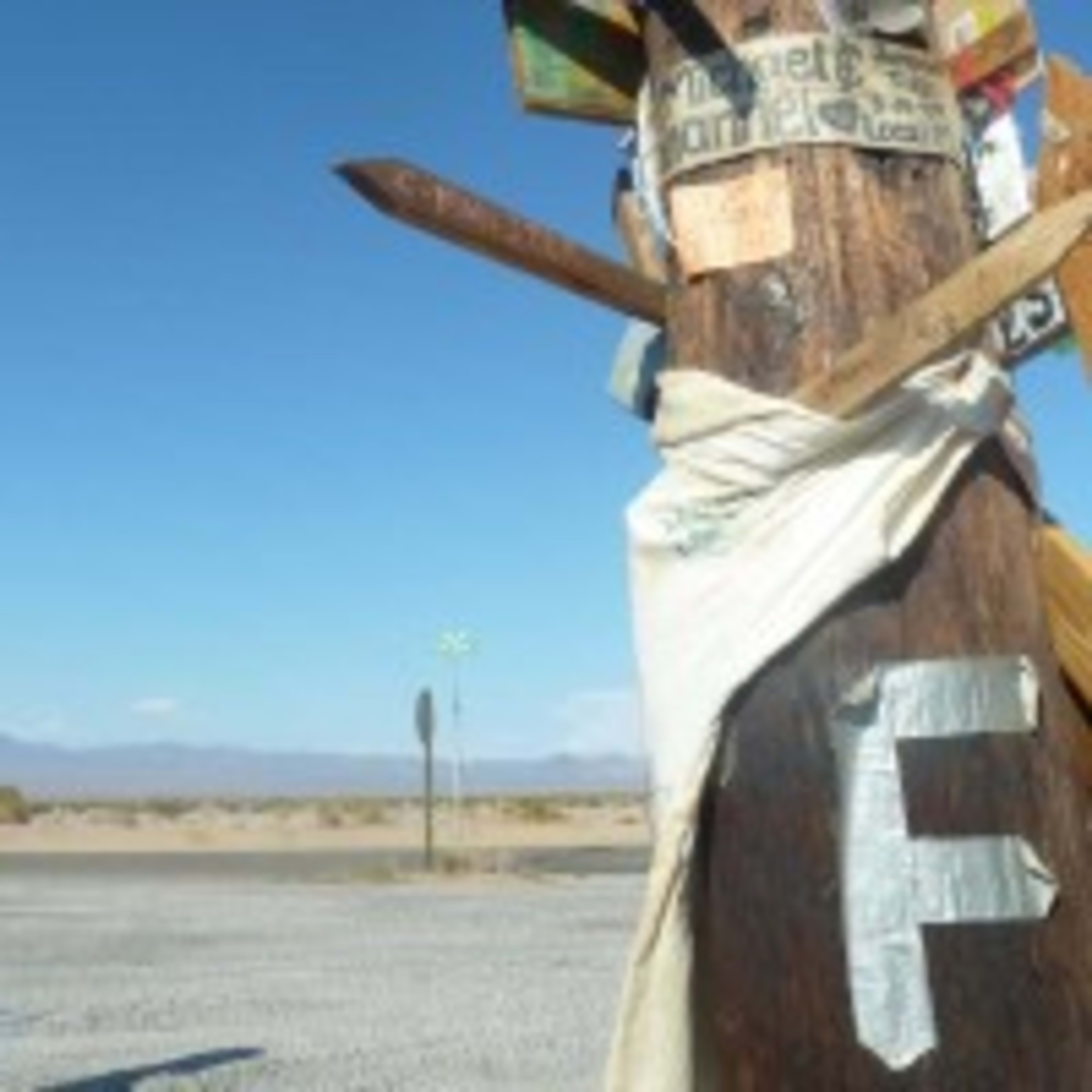 Tips and Tricks for Termite Control - Dengarden