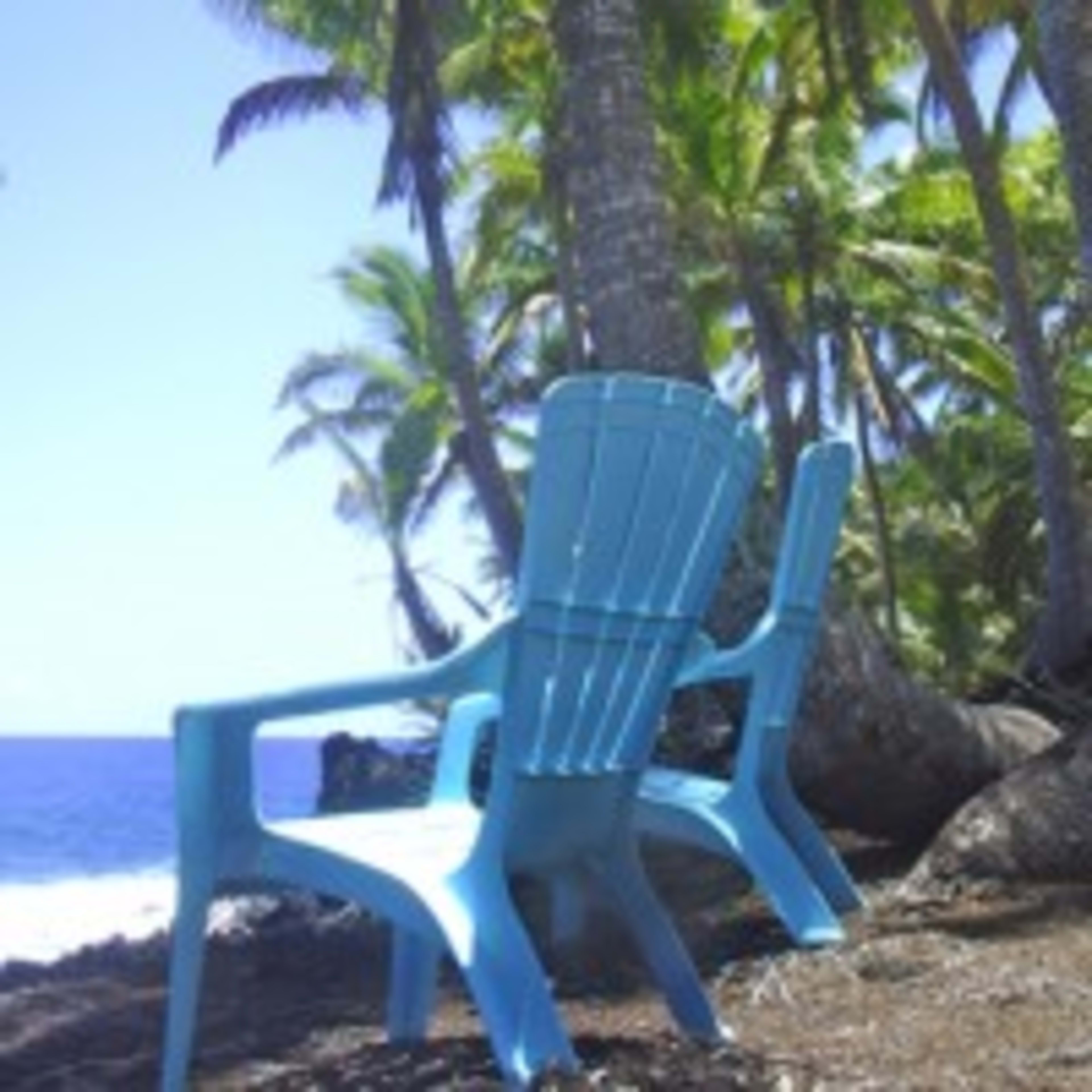 Tropical Taste of Hawaii: The Wondrous Wi Apple - Dengarden