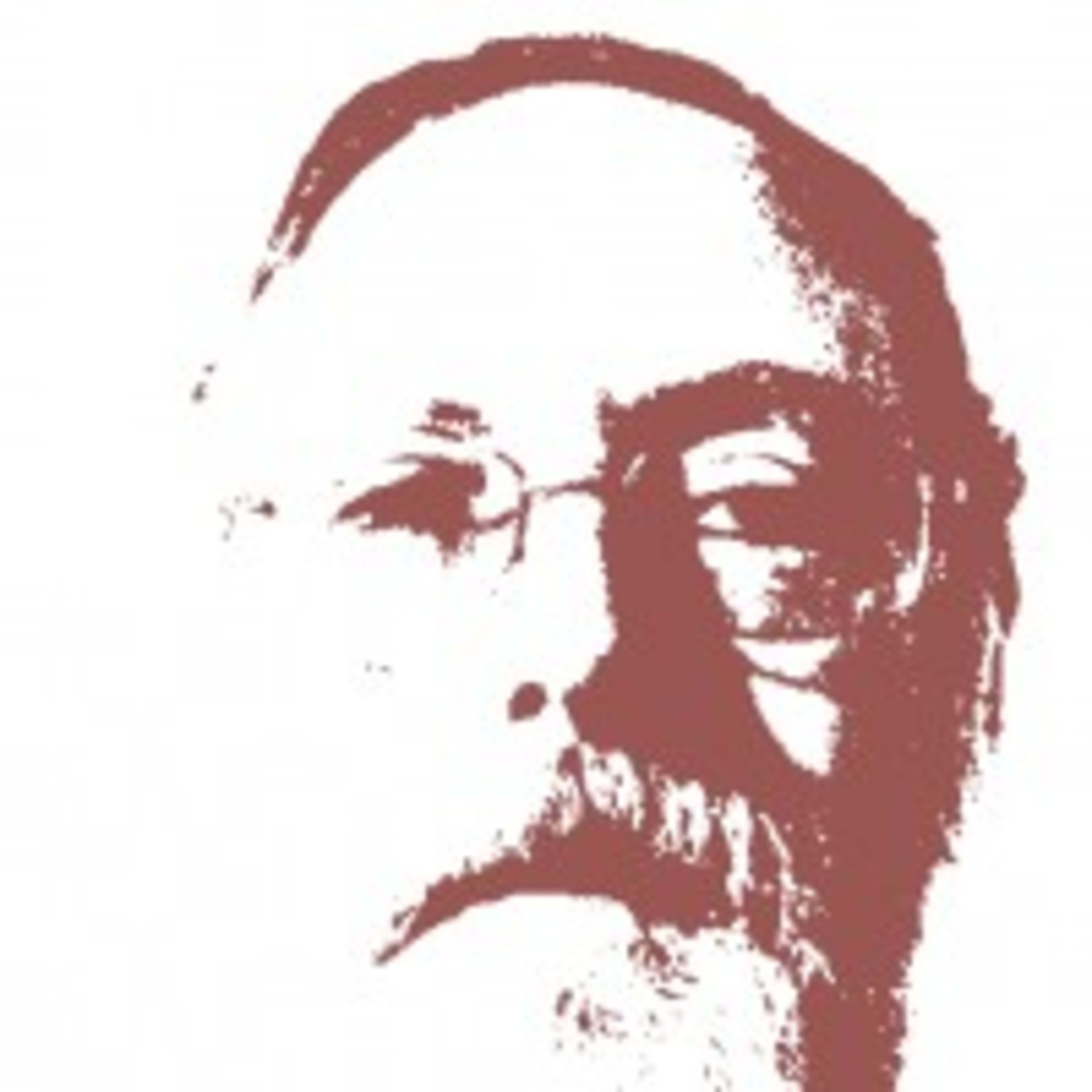 Guide to Plantain Trees - Dengarden