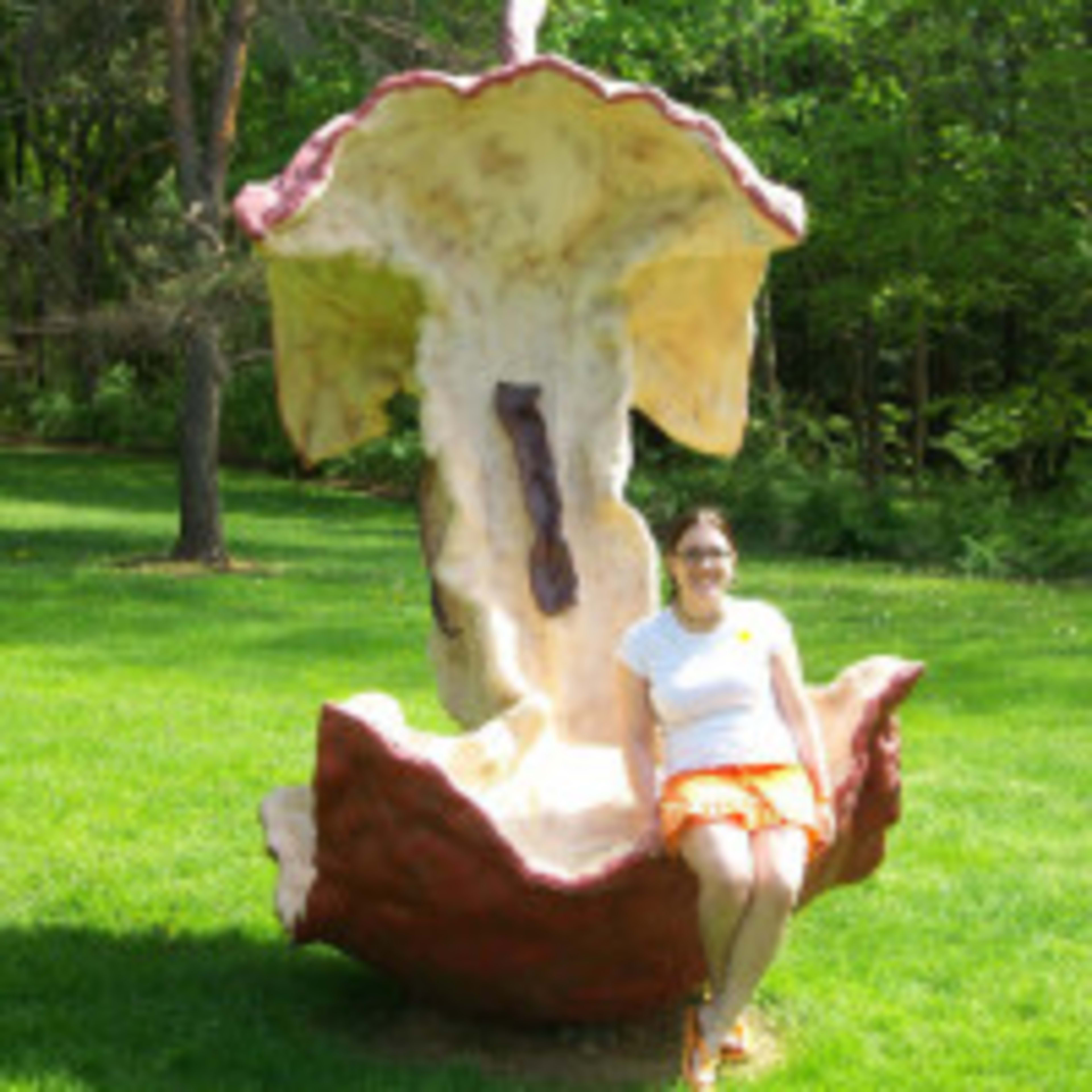 Everything You Need to Know About Weeping Willow Trees - Dengarden