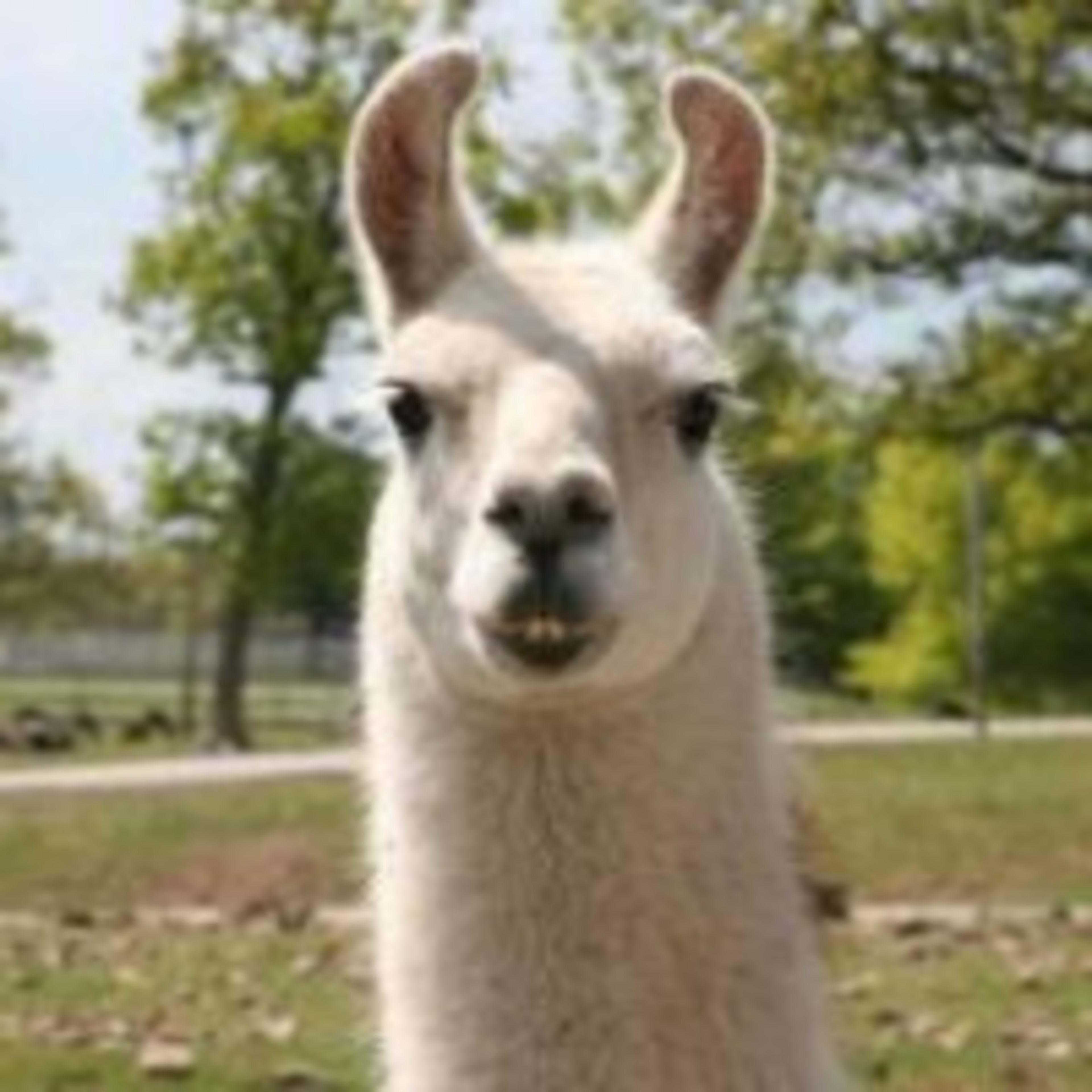 How to Turn an Old Fridge Into a Cold Smoker - Dengarden