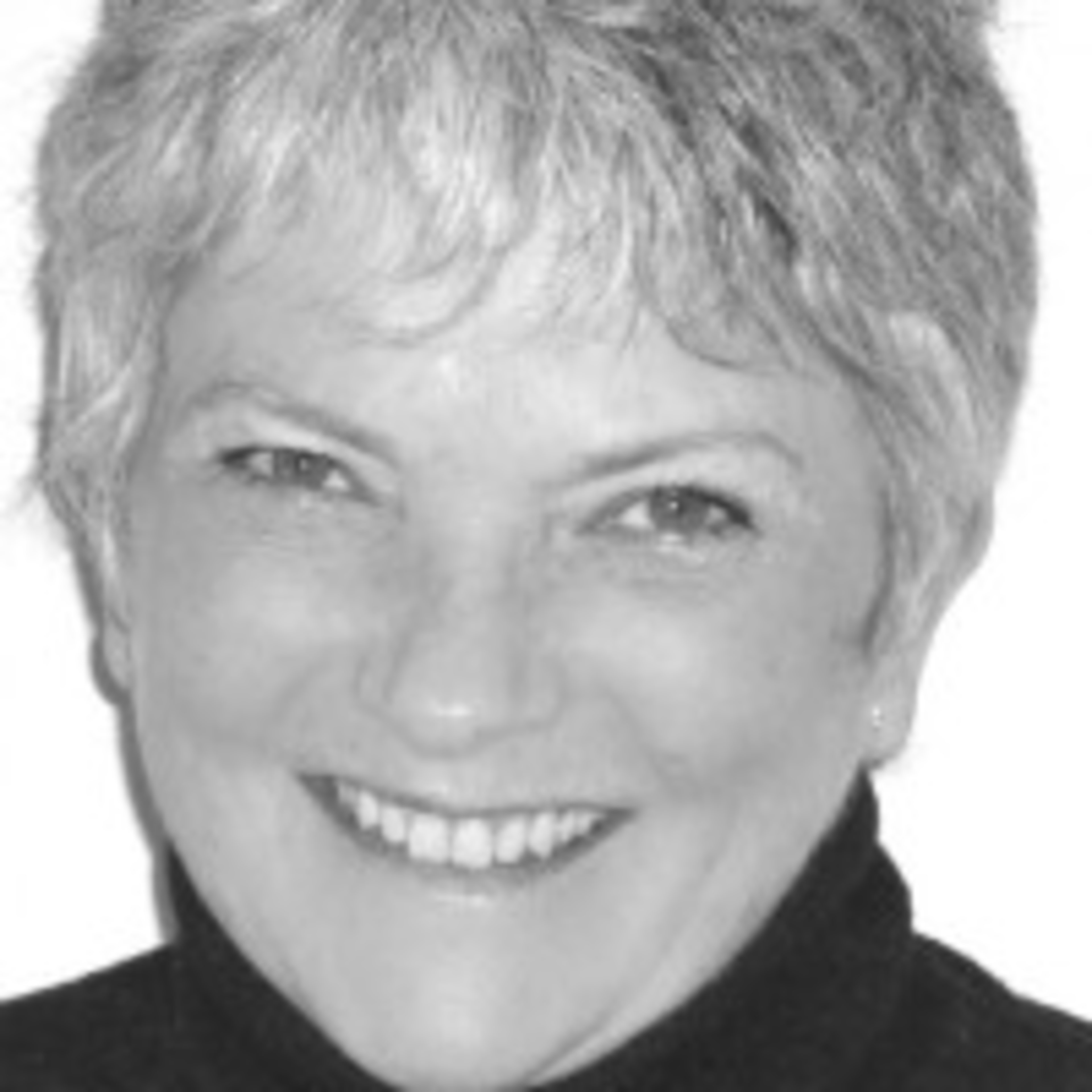 Rayburn Stoves vs. AGA Cookers - Dengarden