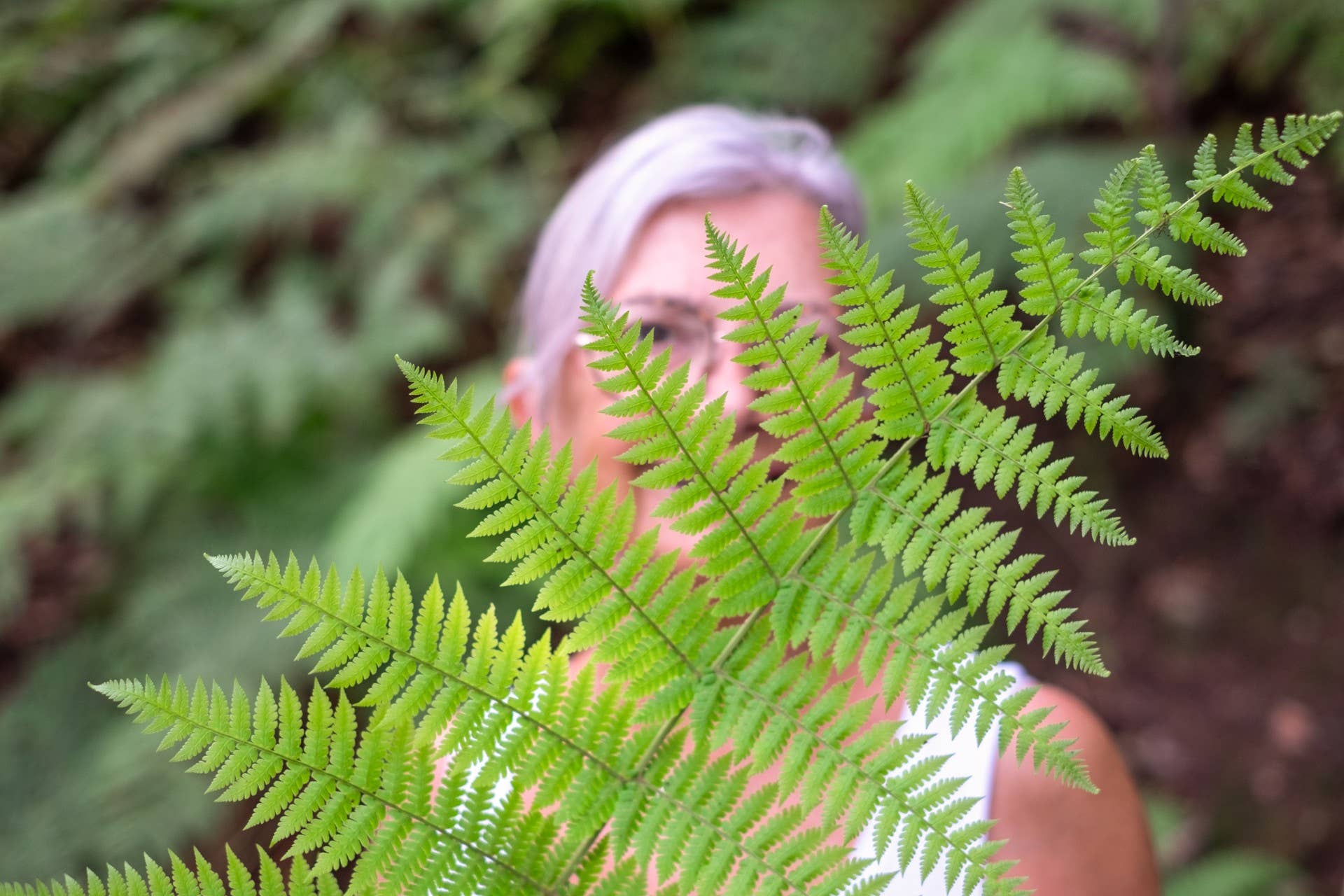 Fern