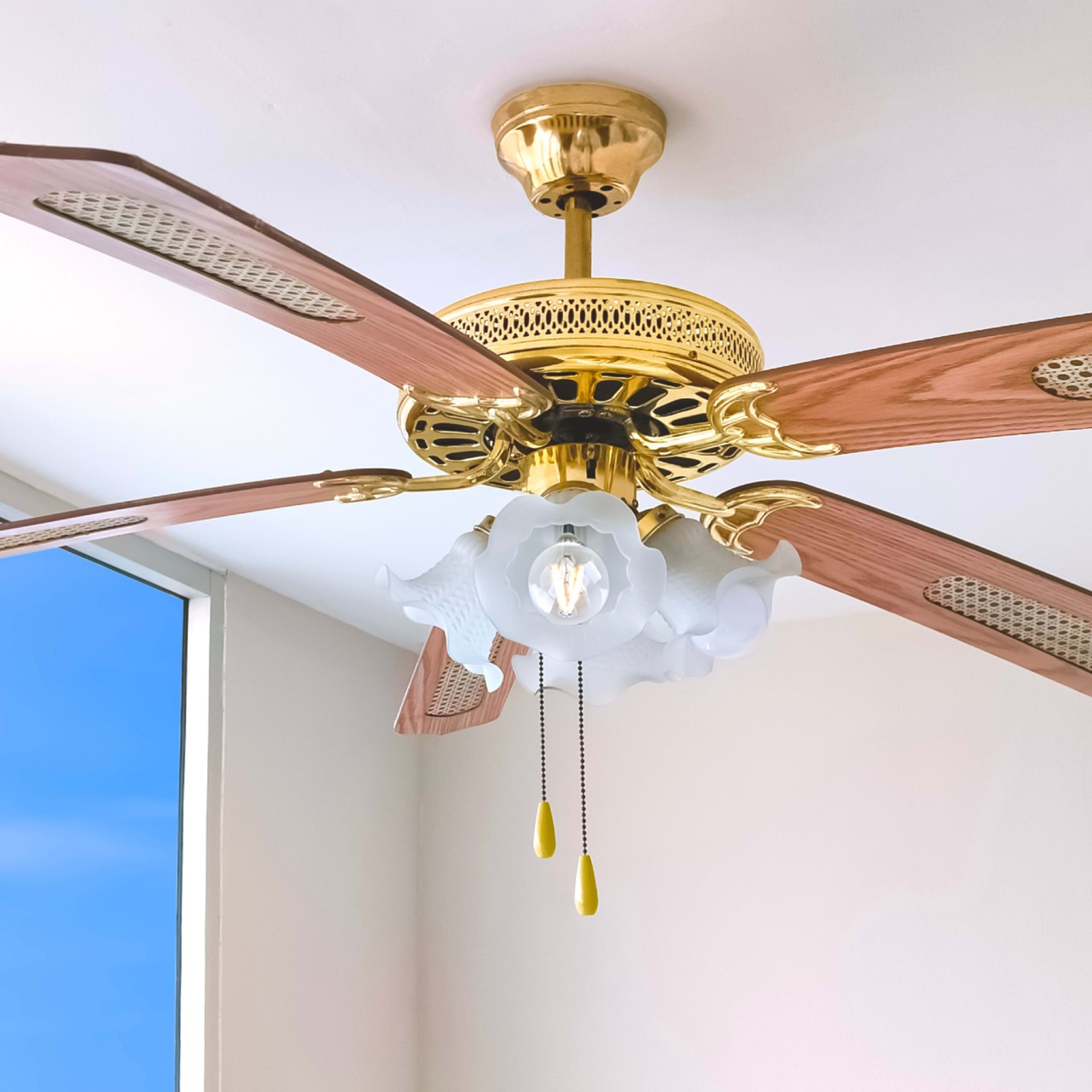 Ceiling Fan