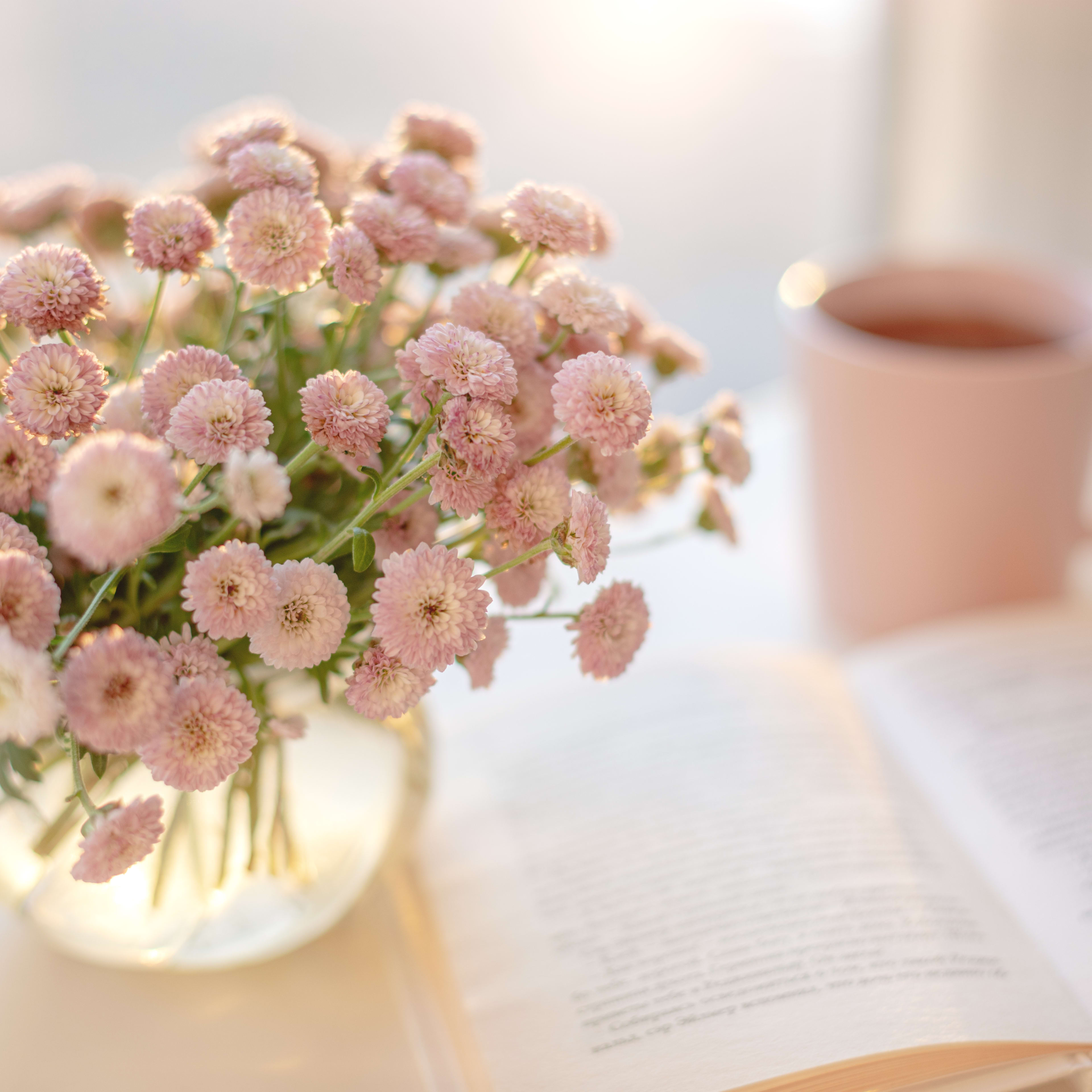 Dengarden for Home and Garden Inspiration