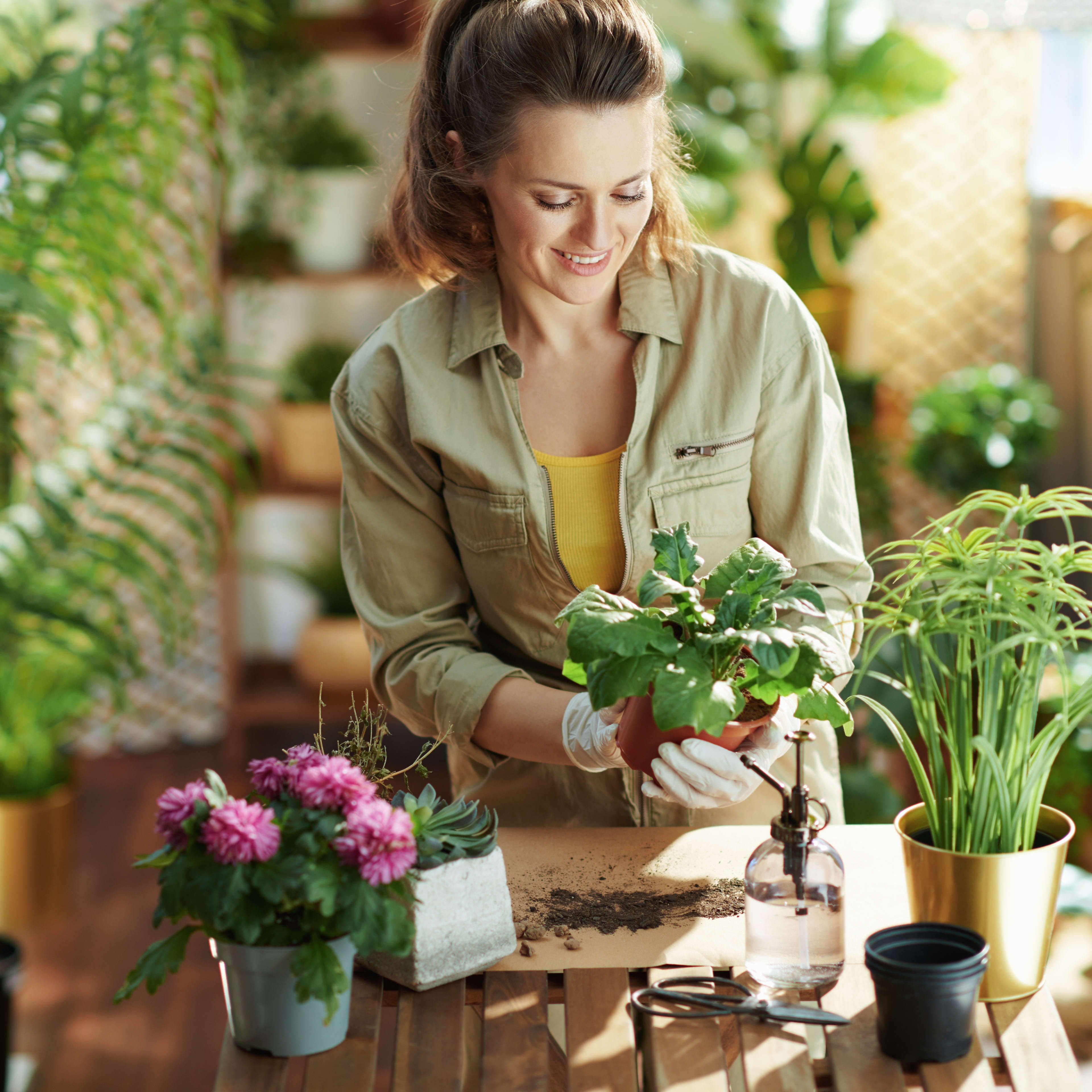 Dengarden for Home and Garden Inspiration