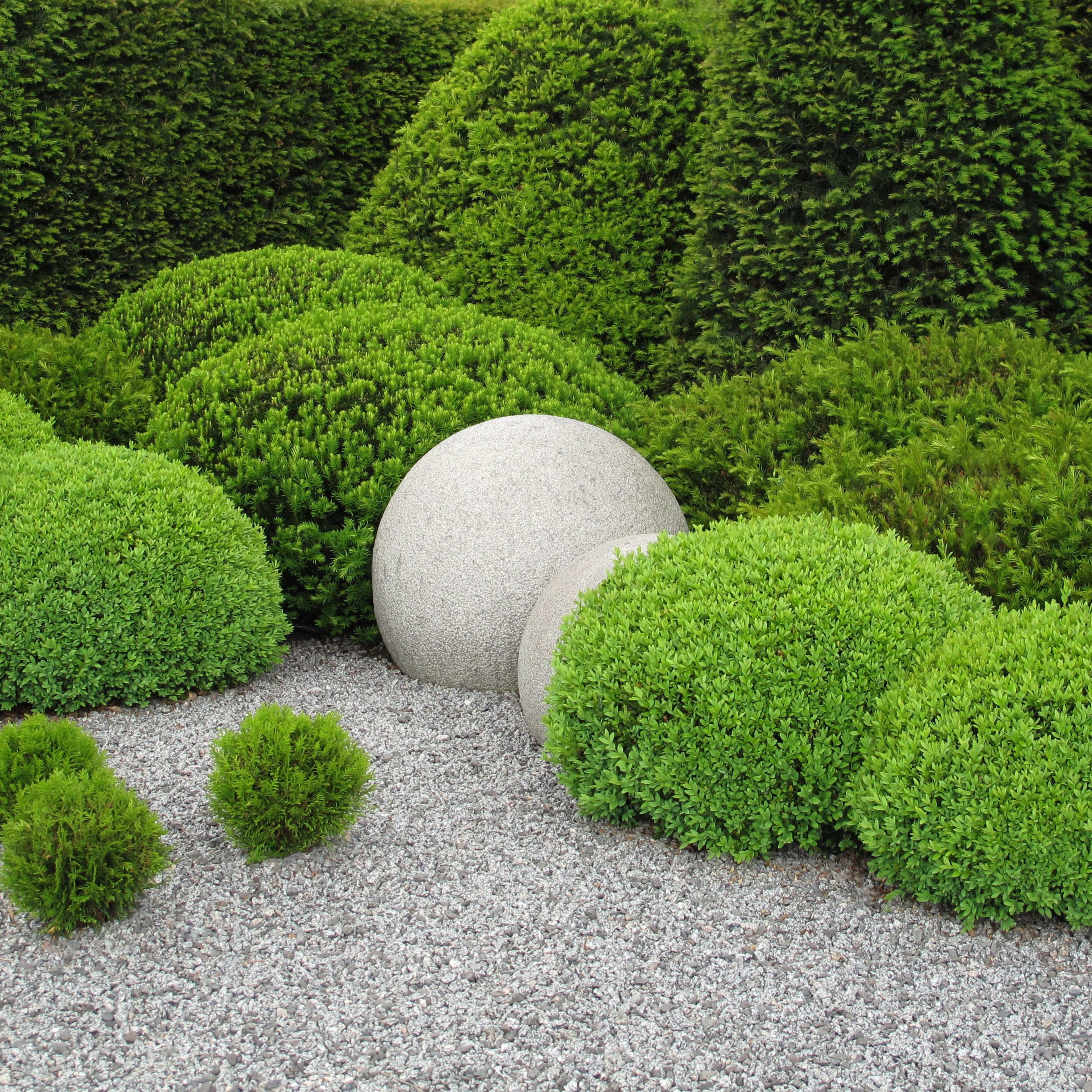 How to Plant and Grow Oriental Lilies