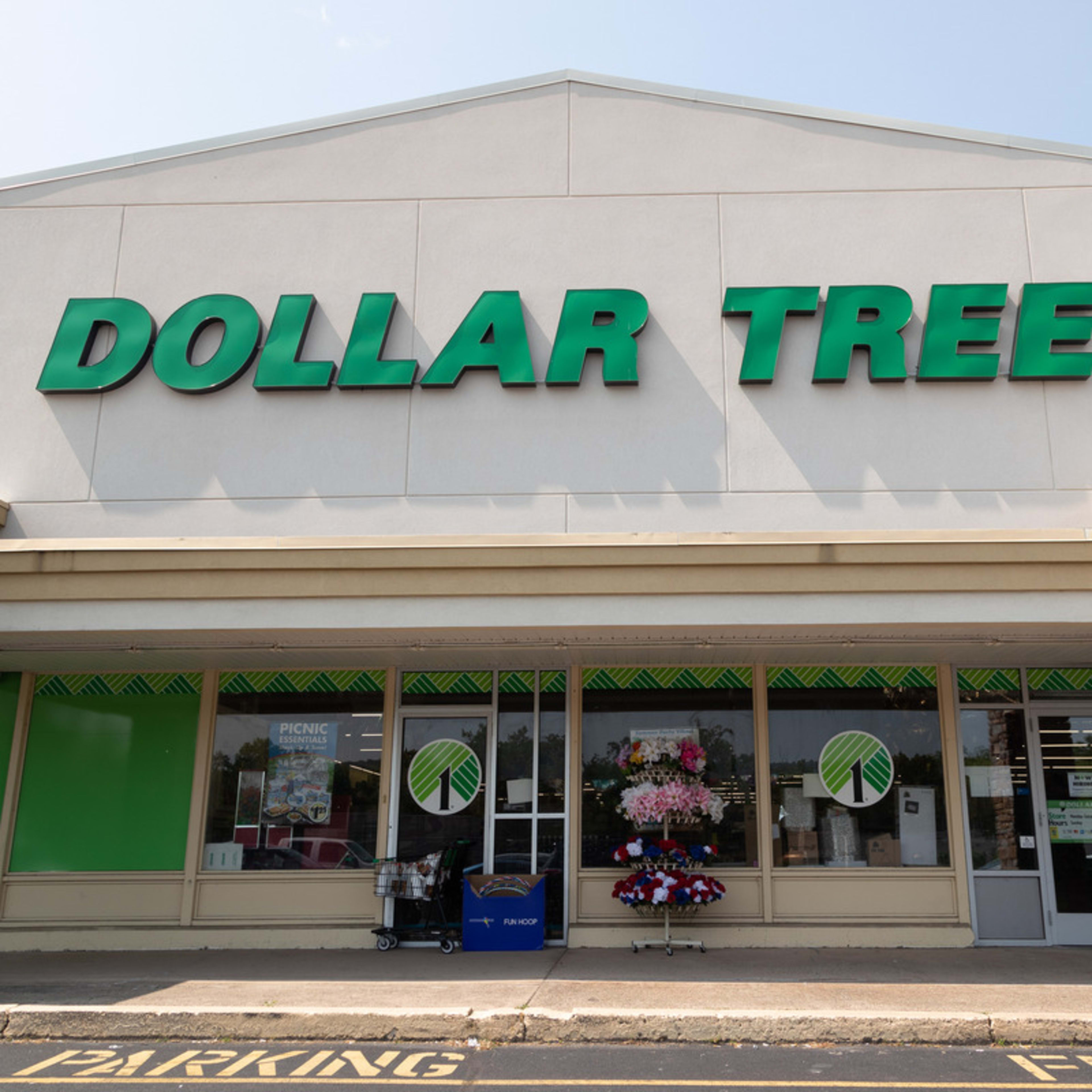 Dollar Tree Home Essentials Haul for Under $15 Shocks Shoppers - Dengarden