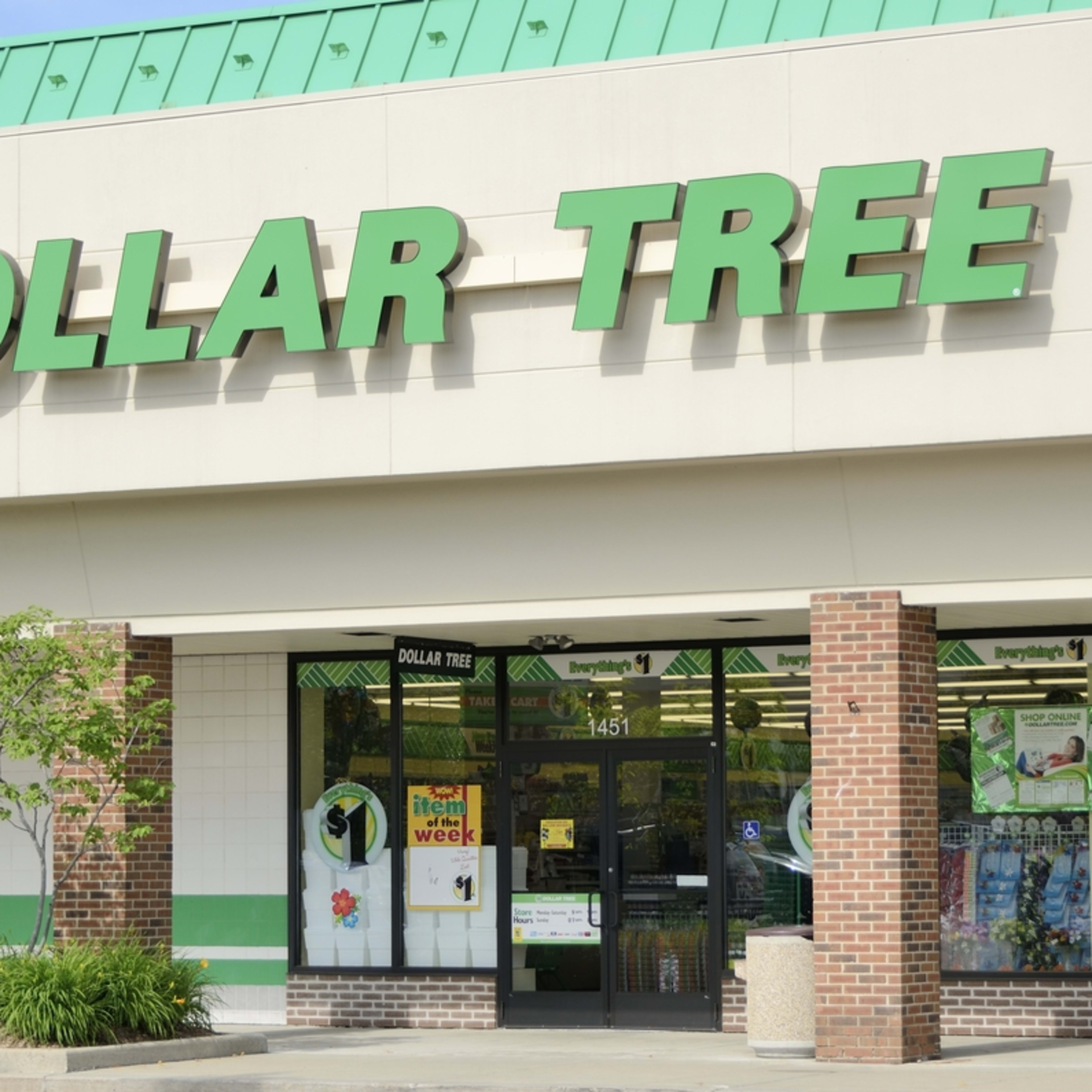 Dollar Tree's Cute Kitchen Line Is an Affordable New Favorite - Dengarden