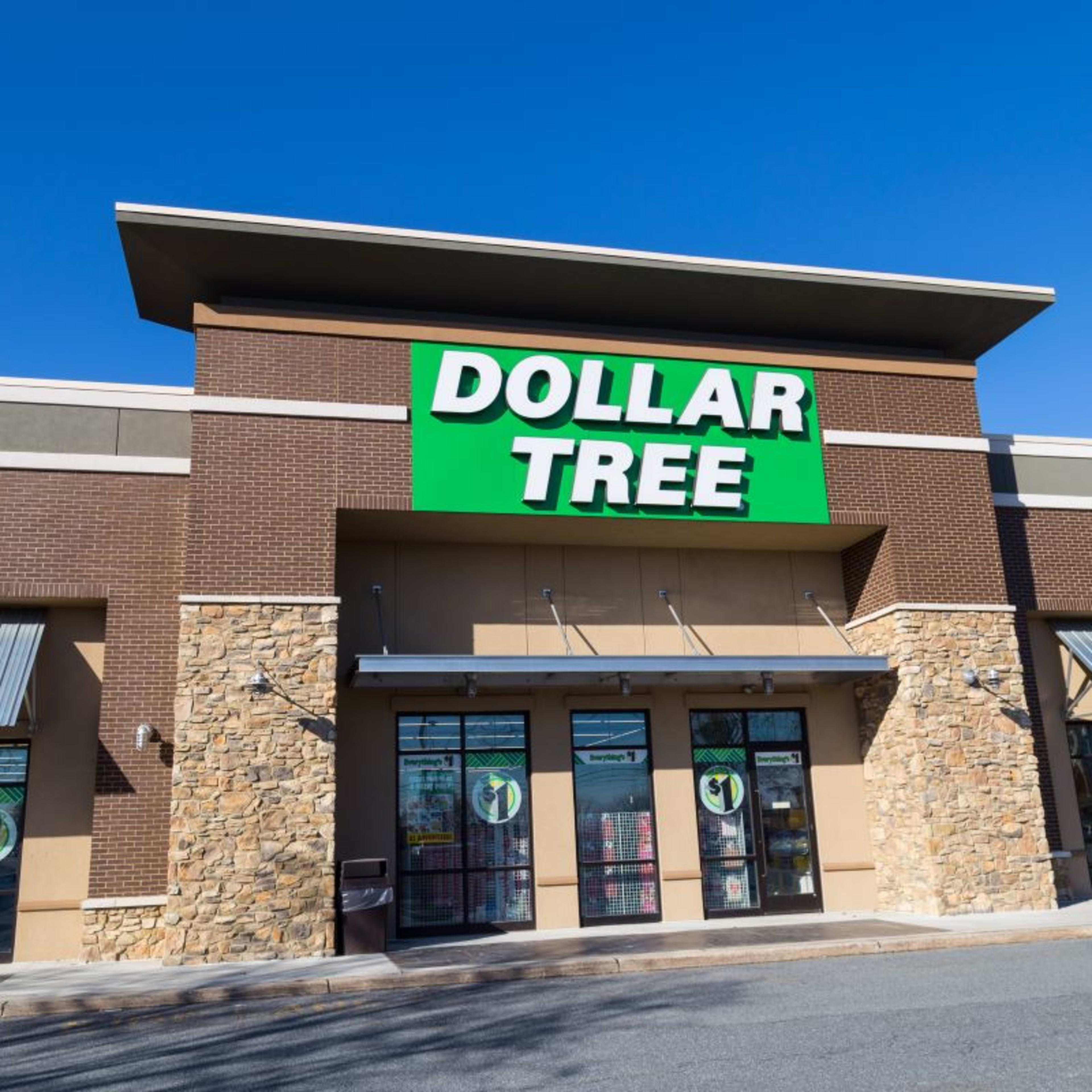 Guide to Plantain Trees - Dengarden