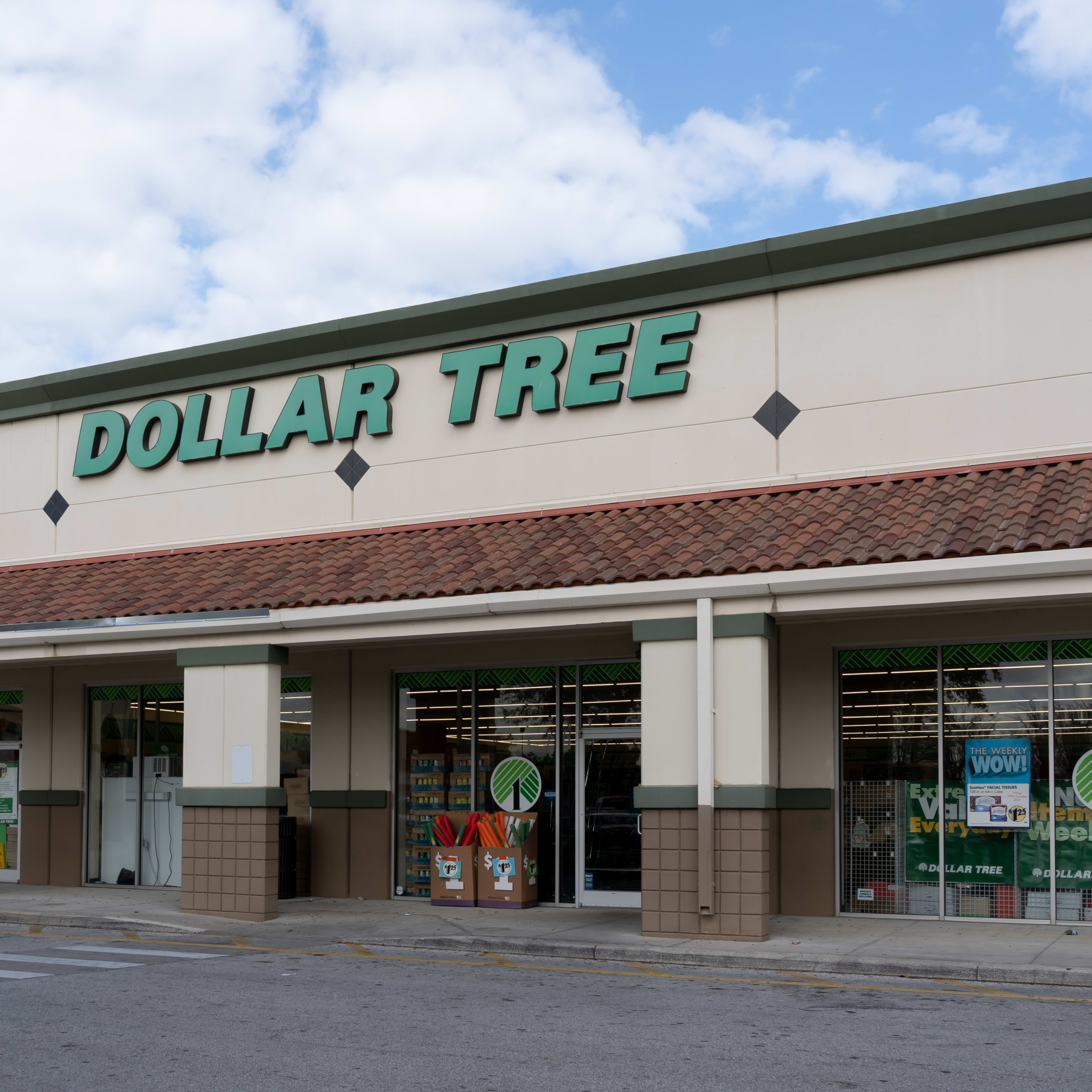 $1.25 Dollar Tree Find Is the Perfect Gift Vessel - Dengarden