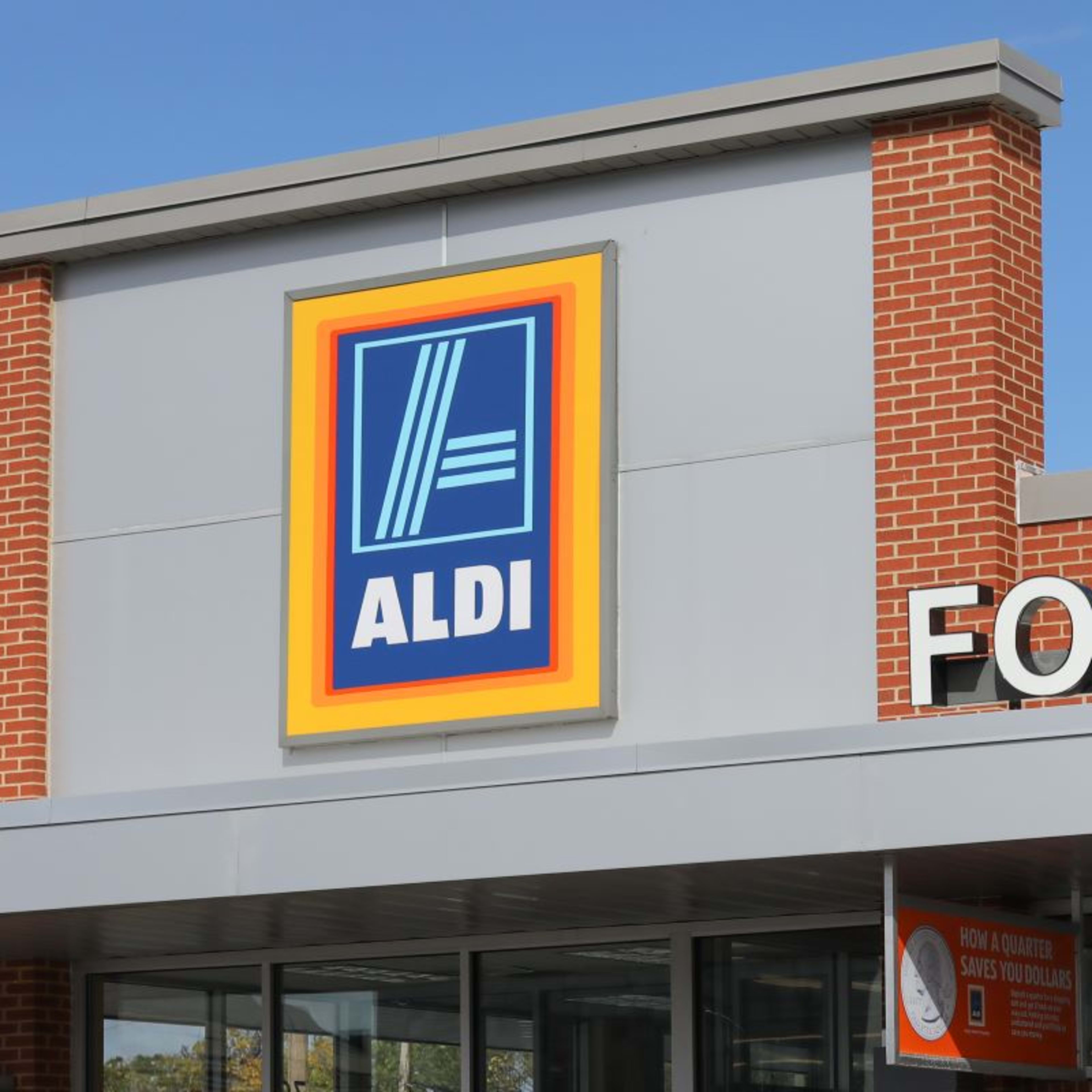 Aldi's New $10 Collapsible Baskets Are a Storage Game-Changer - Dengarden