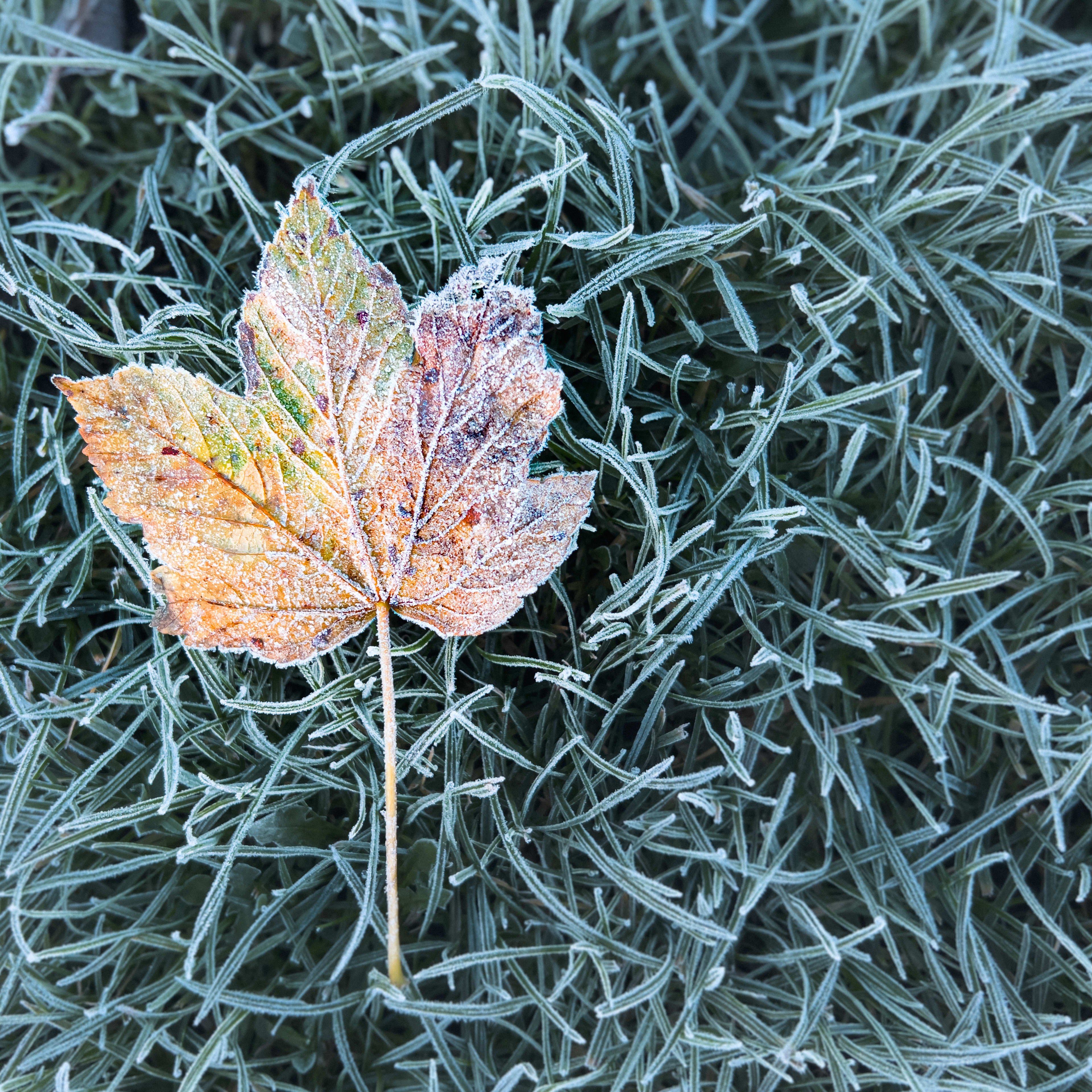 How to Fix Bent Broom Bristles and Keep Them Straight - Dengarden