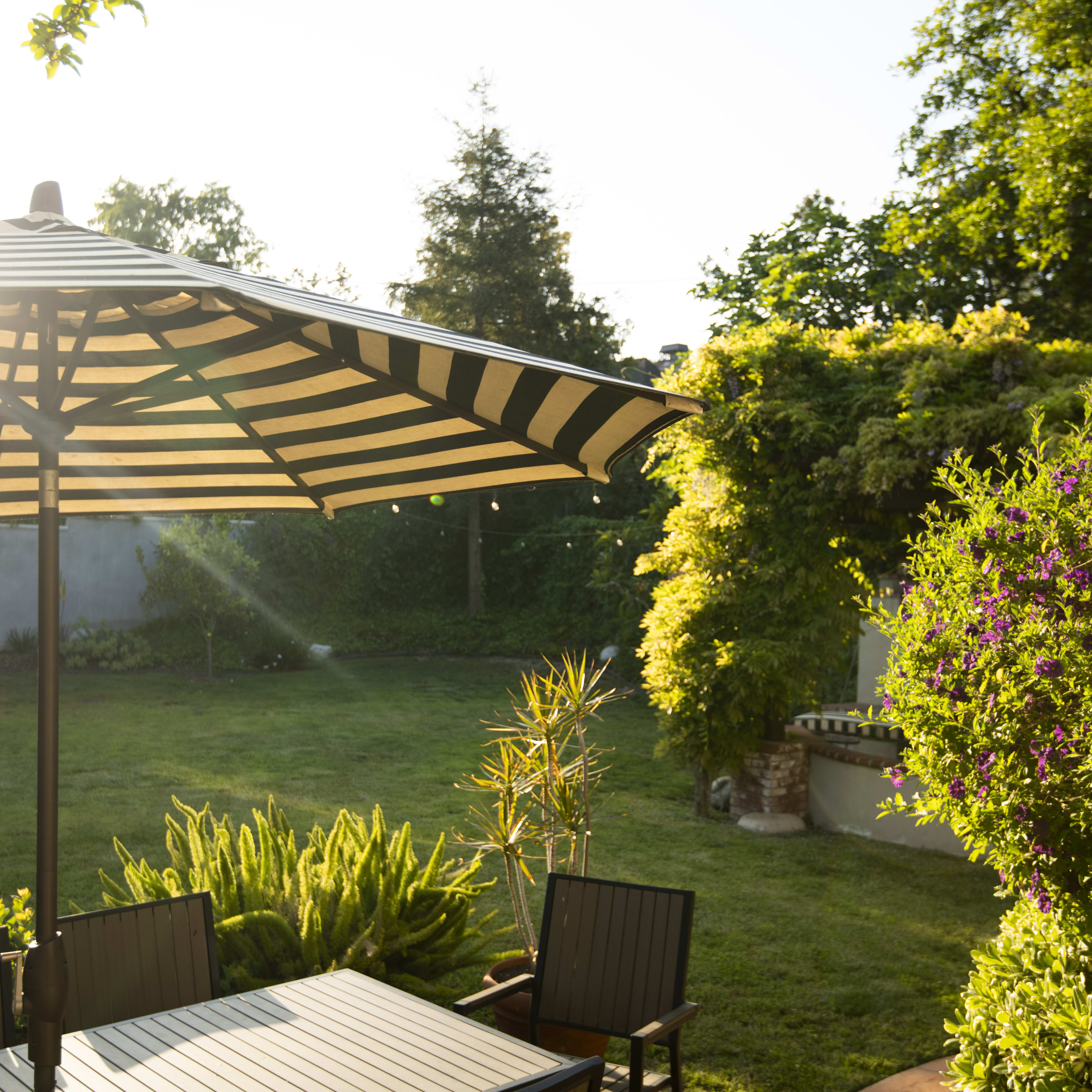 People are Transforming Iconic IKEA Frames for the Cutest Reason ...