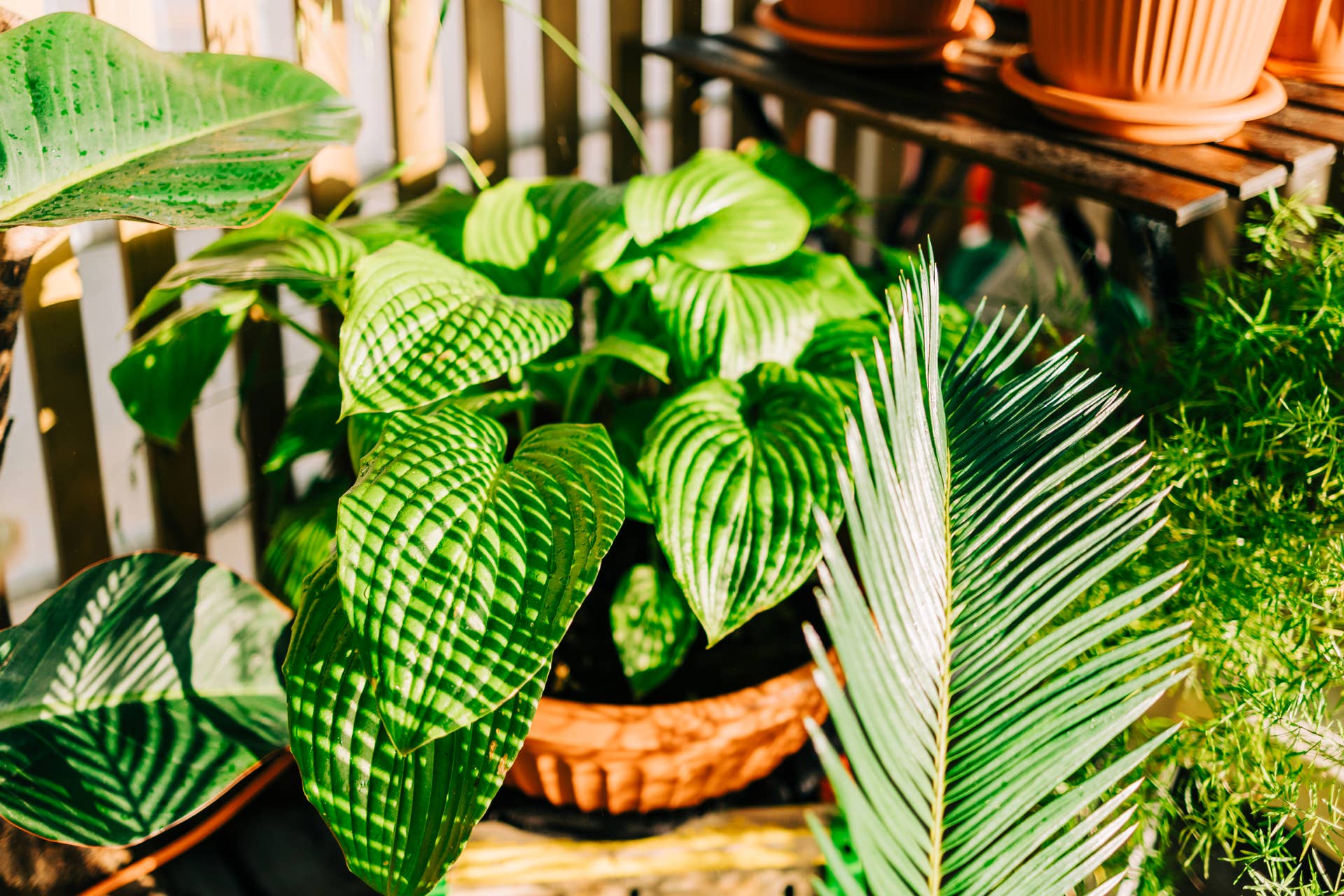 Dengarden for Home and Garden Inspiration