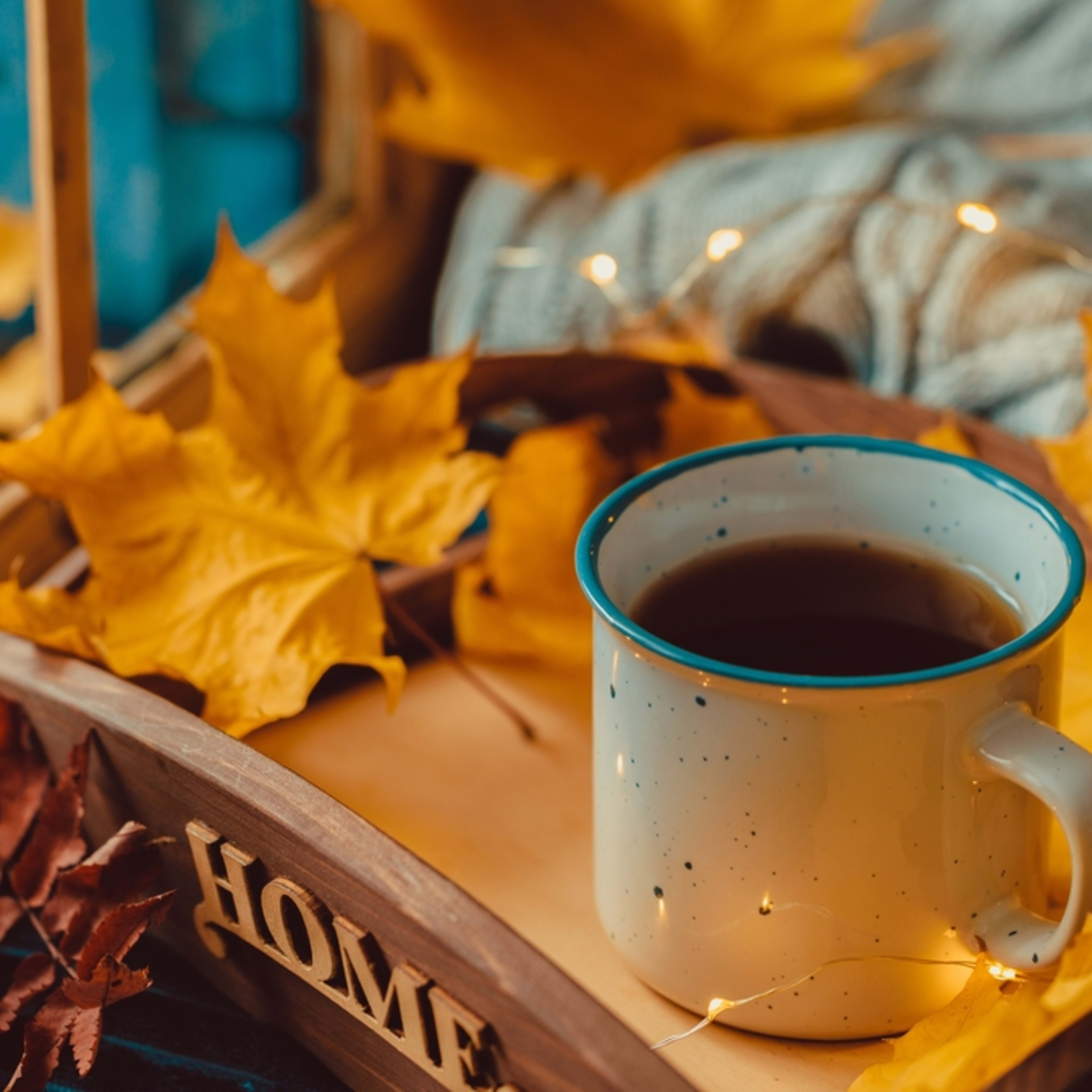 Dollar Tree DIY Fall Decor Will Make Every Room Adorable - Dengarden