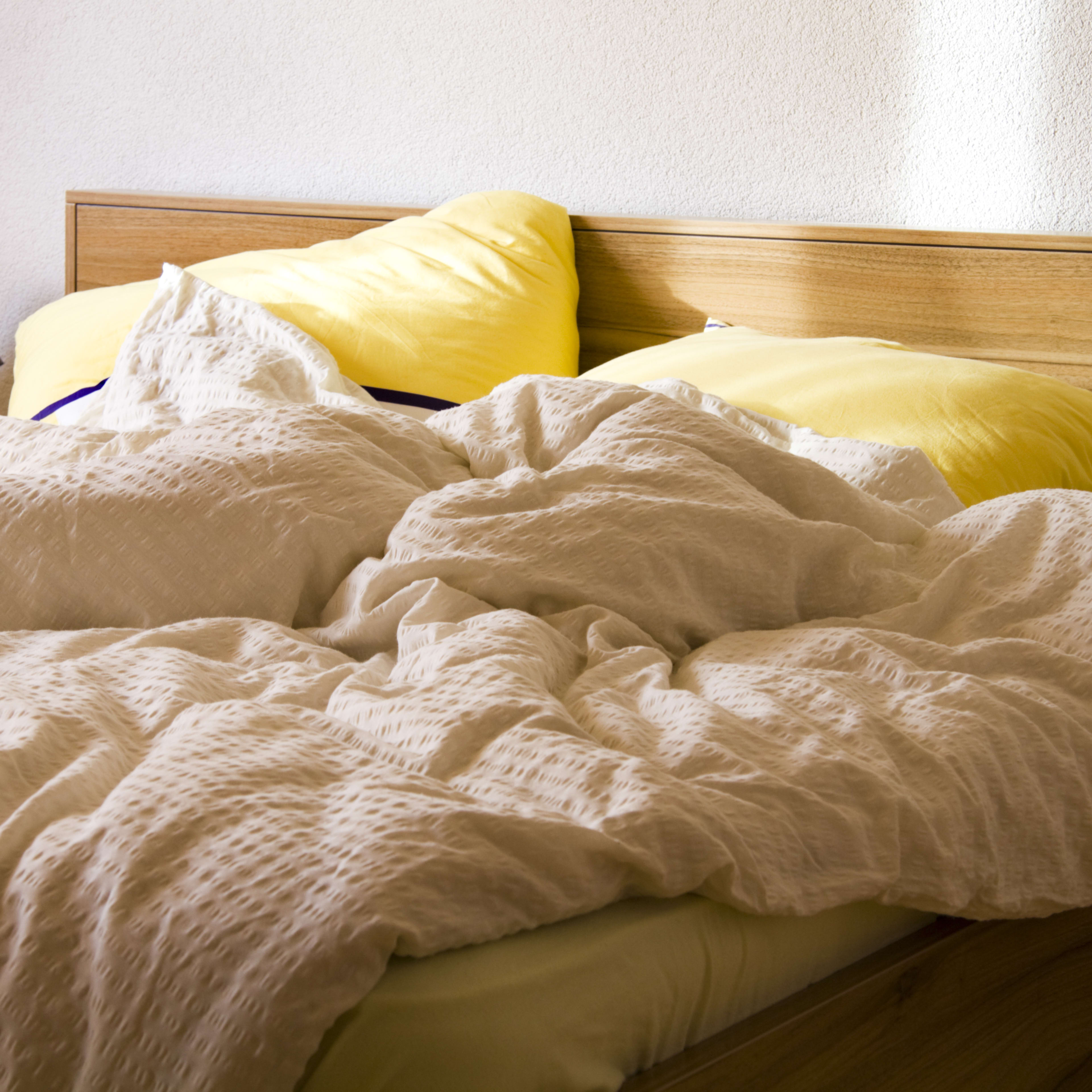 How to Identify and Get Rid of Clothes Moths in Your Home - Dengarden