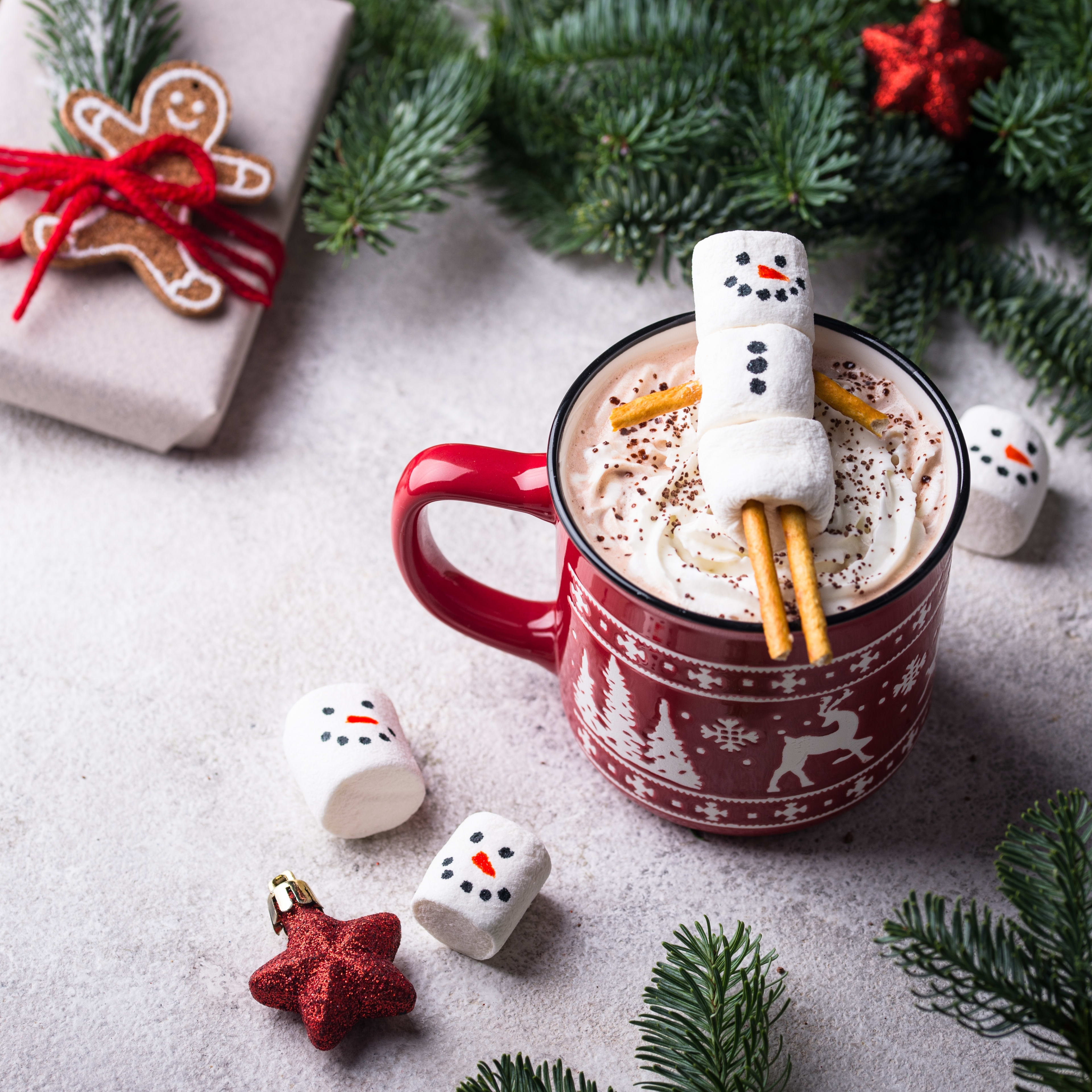 DIY Peppermint Door Display Tutorial - Dengarden