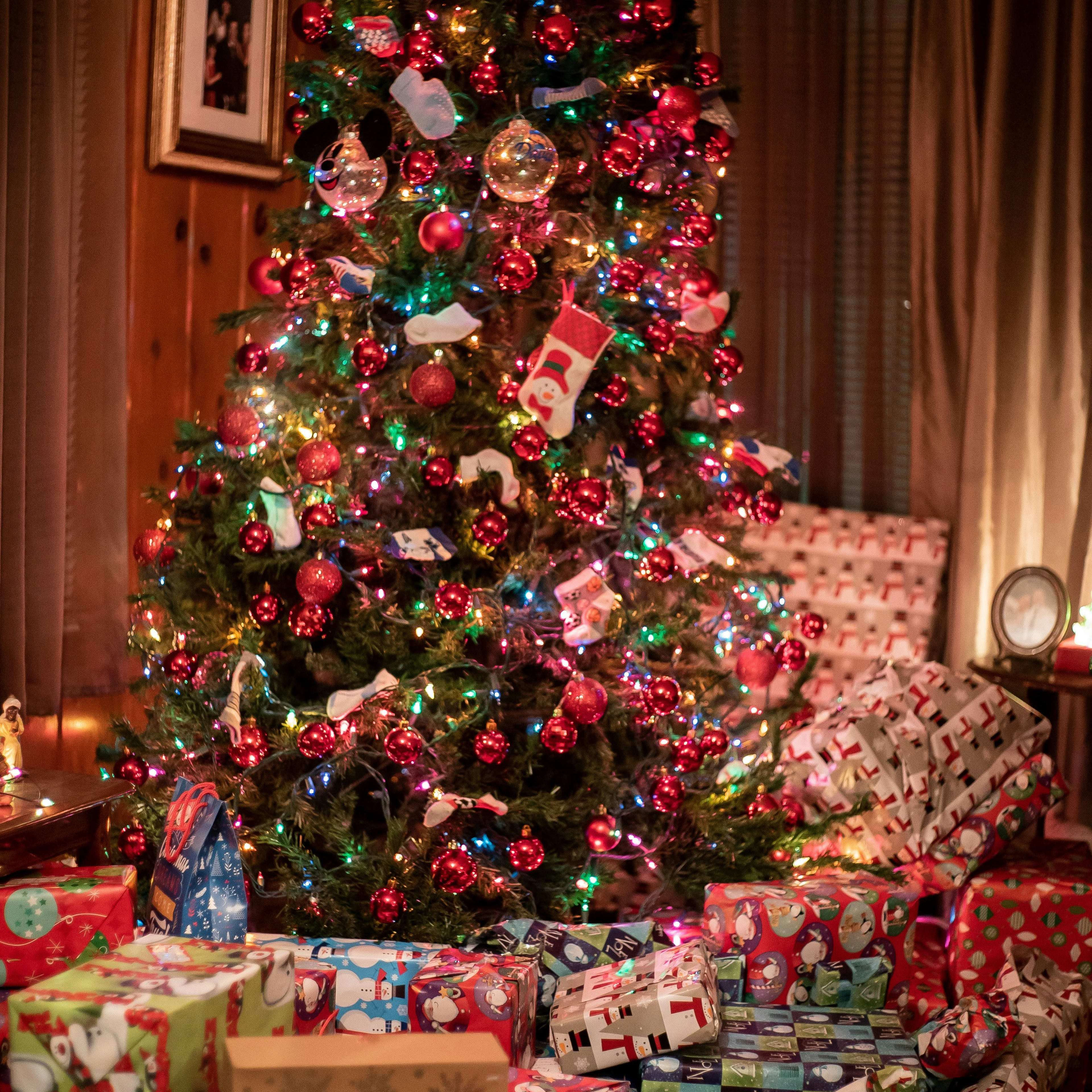 100 Different Types of Roses - Dengarden