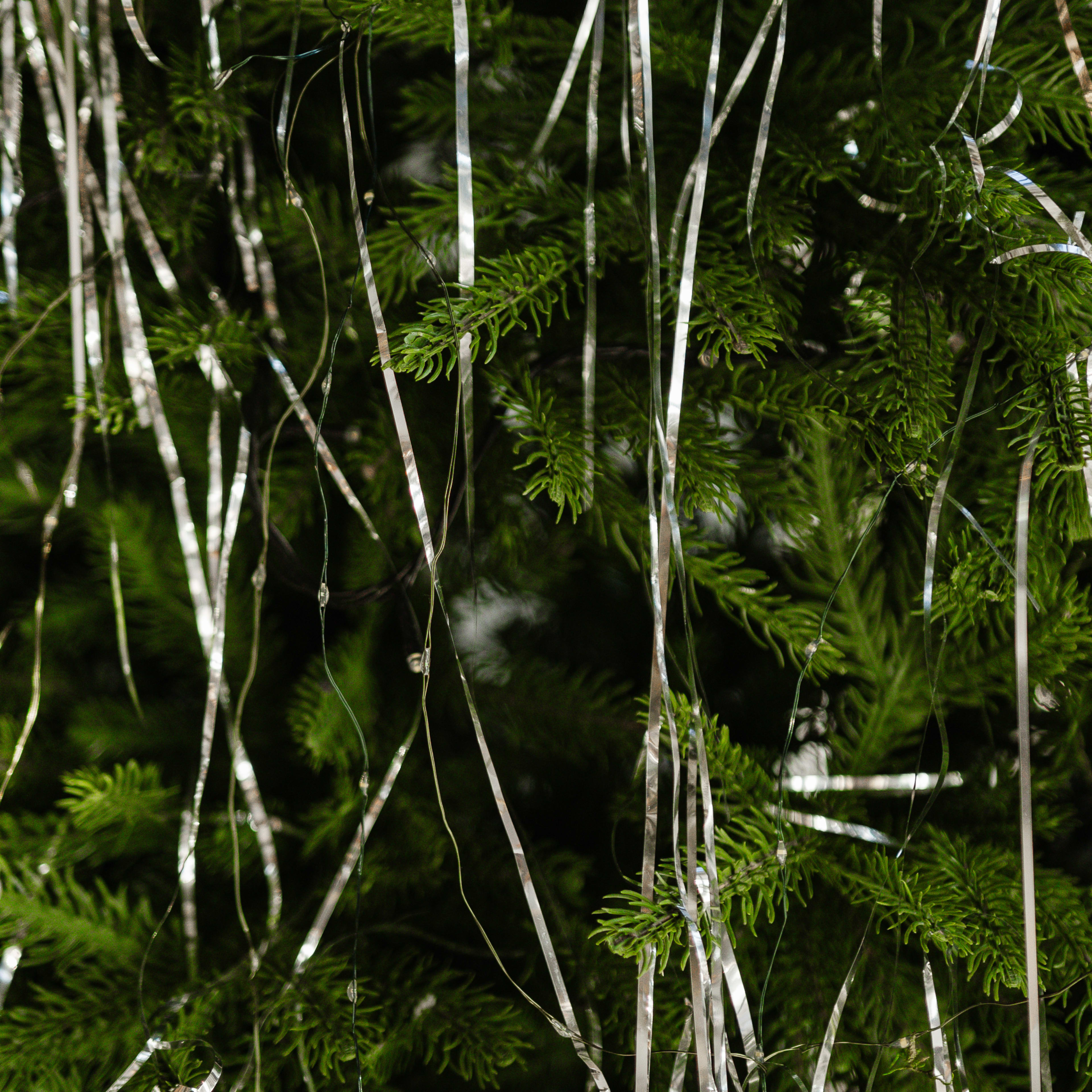 Hemp Blocks for Building: What They Are & How to Use Them - Dengarden