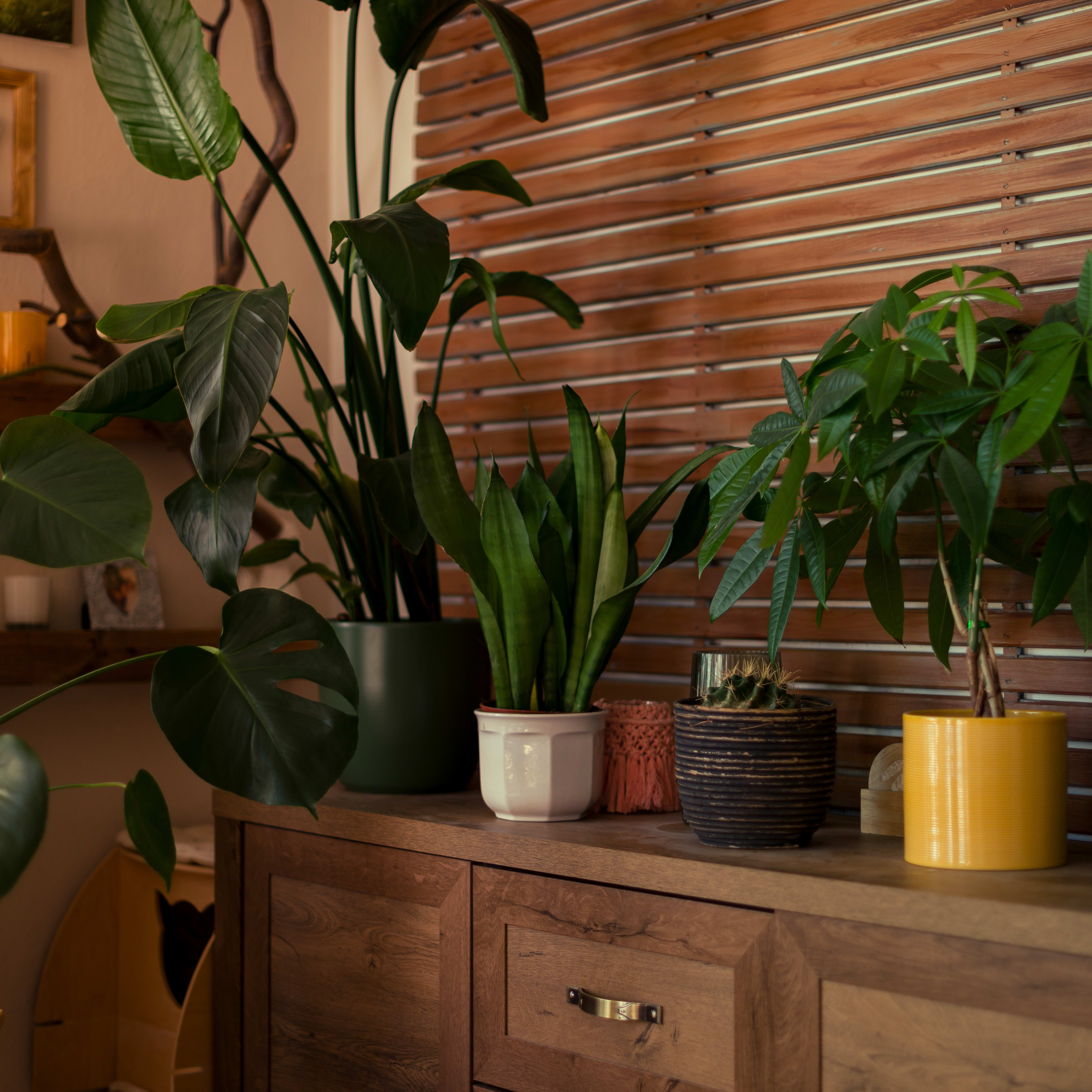 This Holiday Craft Using Hobby Lobby Cutting Boards Is Genius - Dengarden