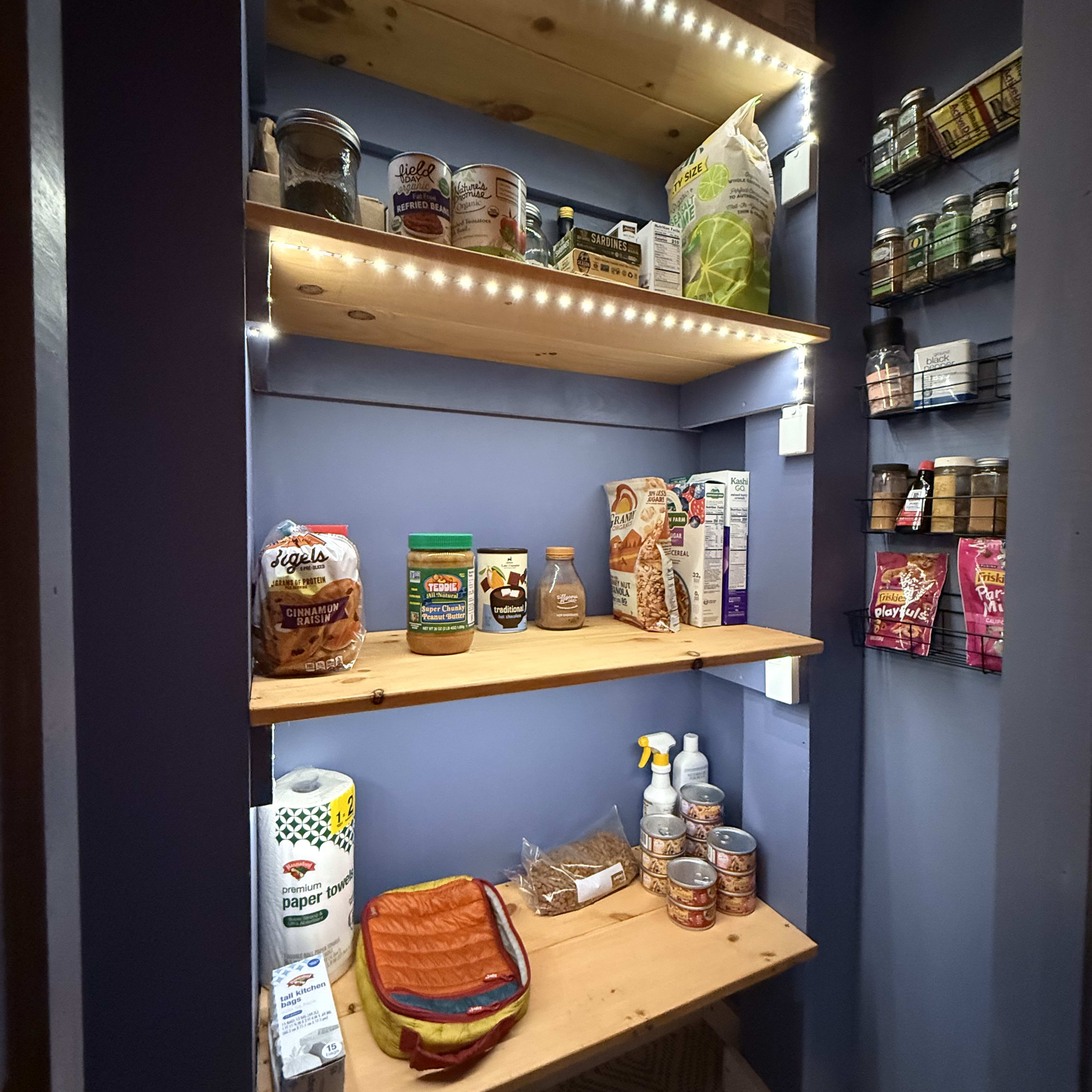 How to Stop Squirrels from Eating Your Pumpkins This Season - Dengarden