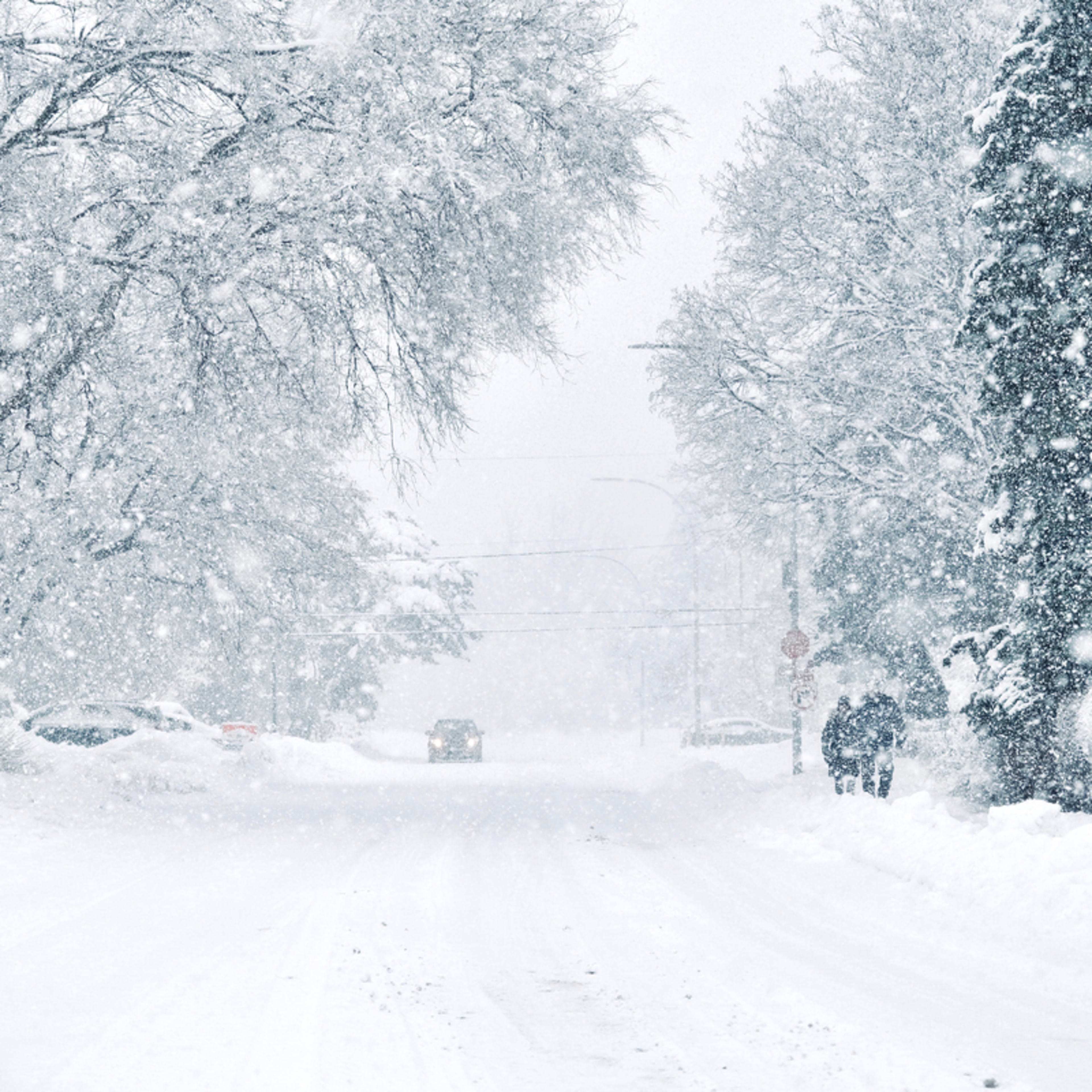 What to Do When Arctic Cold Puts Backyard Chickens at Risk - Dengarden