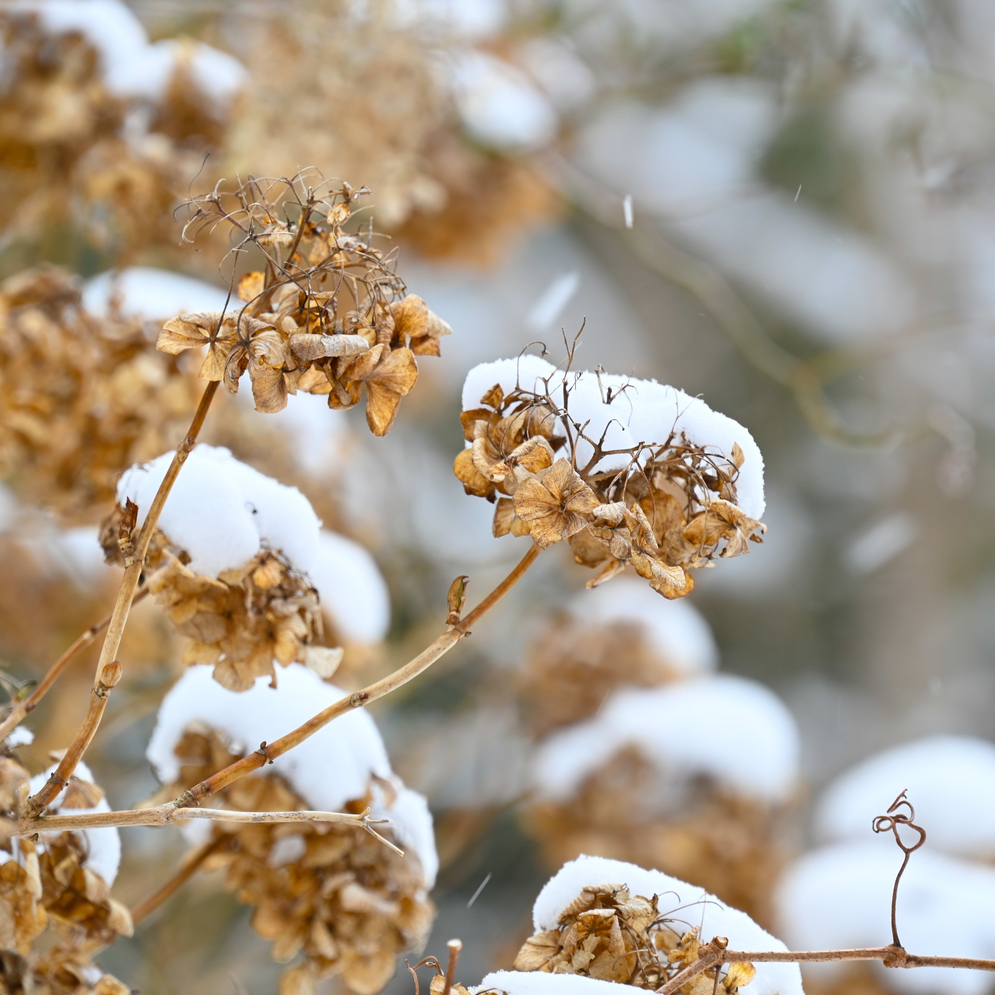 Michaels Just Brought Back Its Iconic Mystery Boxes for a Steal - Dengarden