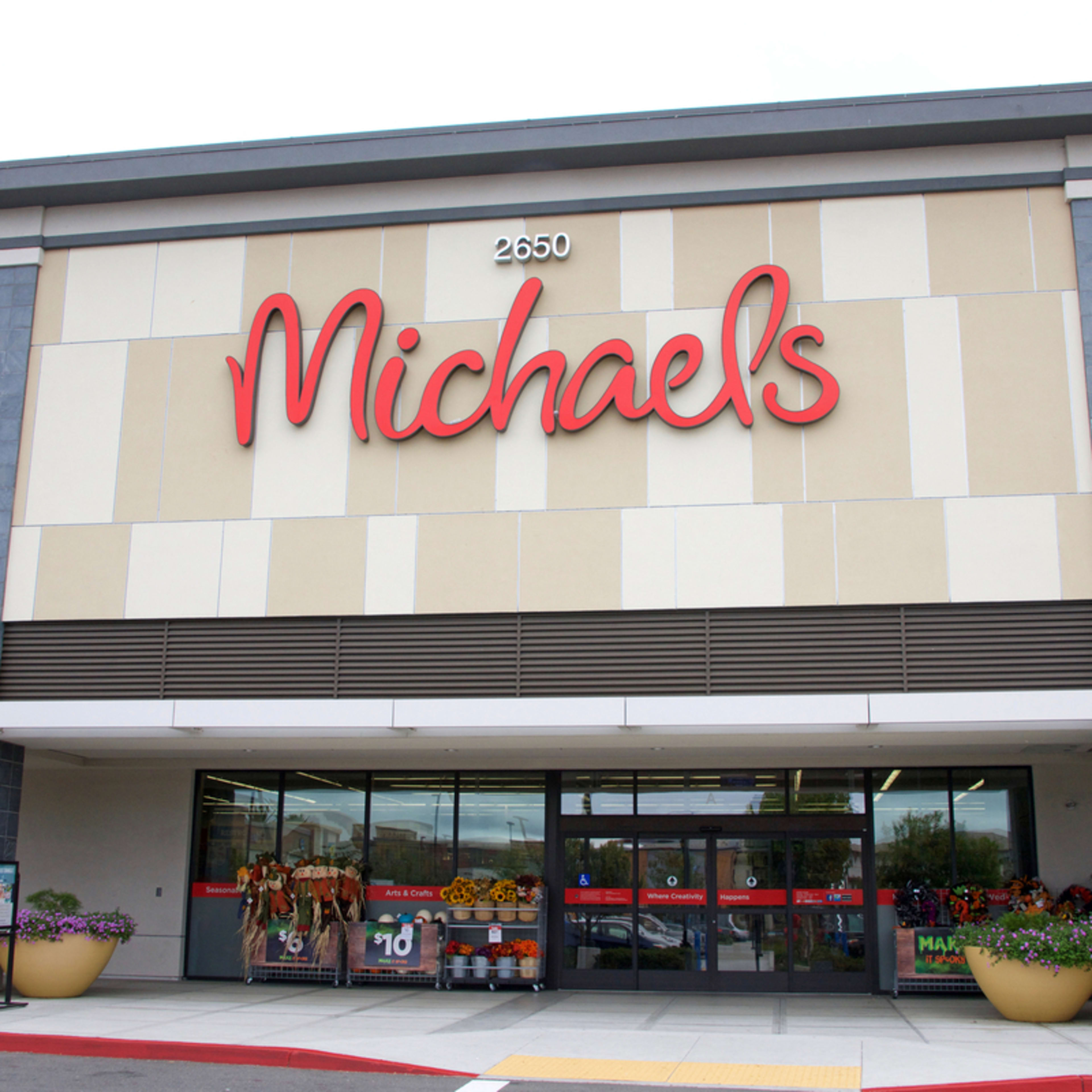 Guide to Plantain Trees - Dengarden