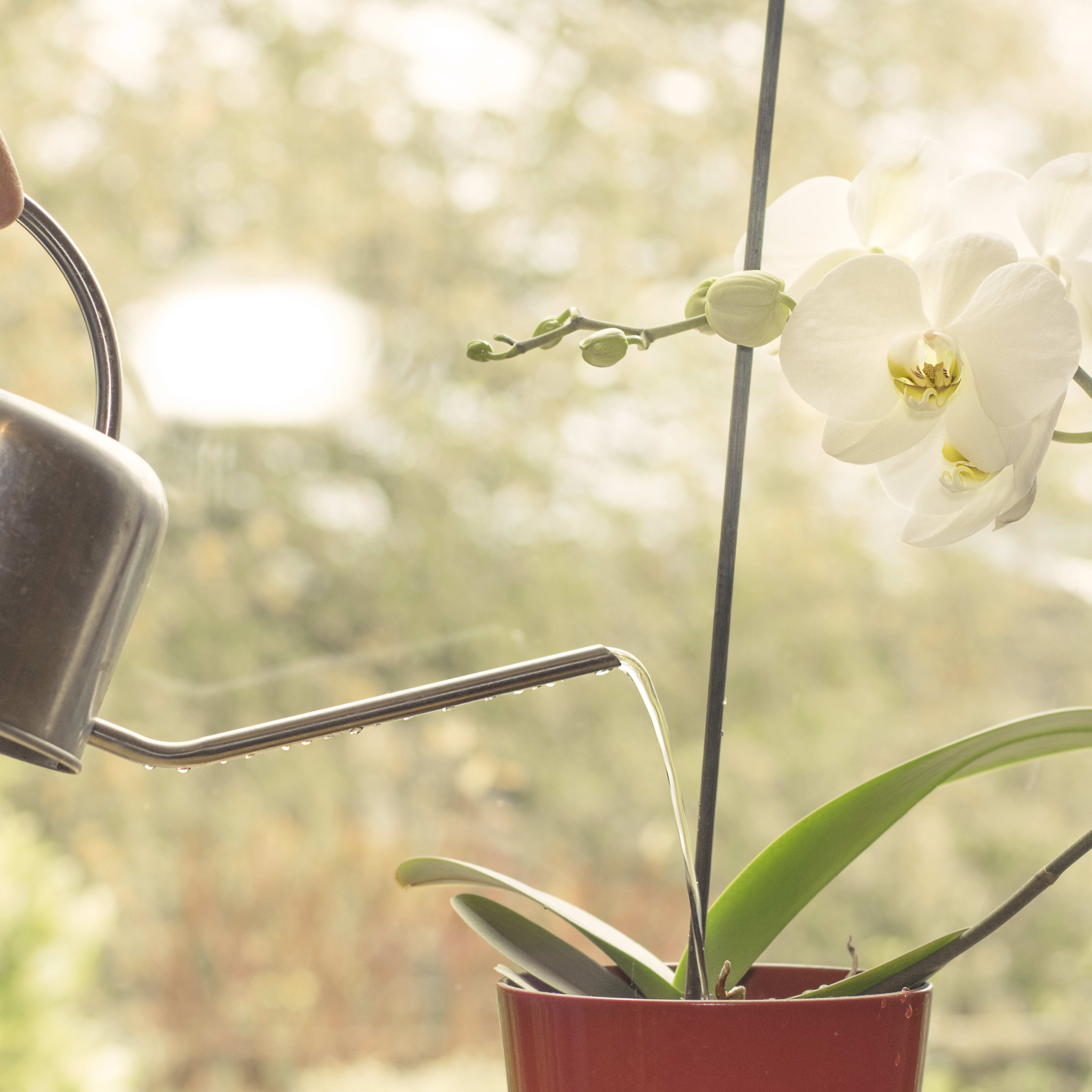 This DIY Version of an Urban Outfitter's Vanity Is So Cute - Dengarden