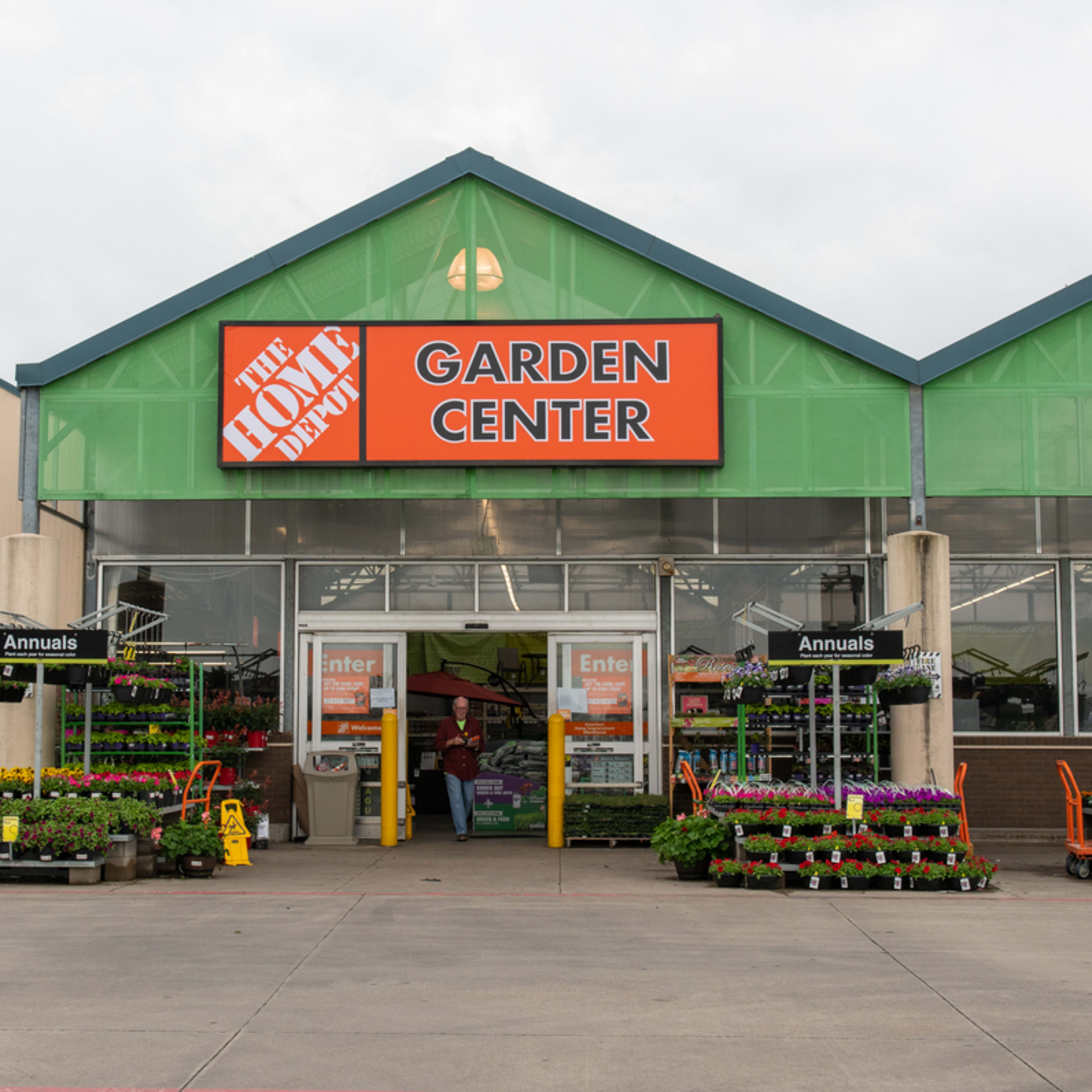 How to Grow and Care for Yucca Plants - Dengarden