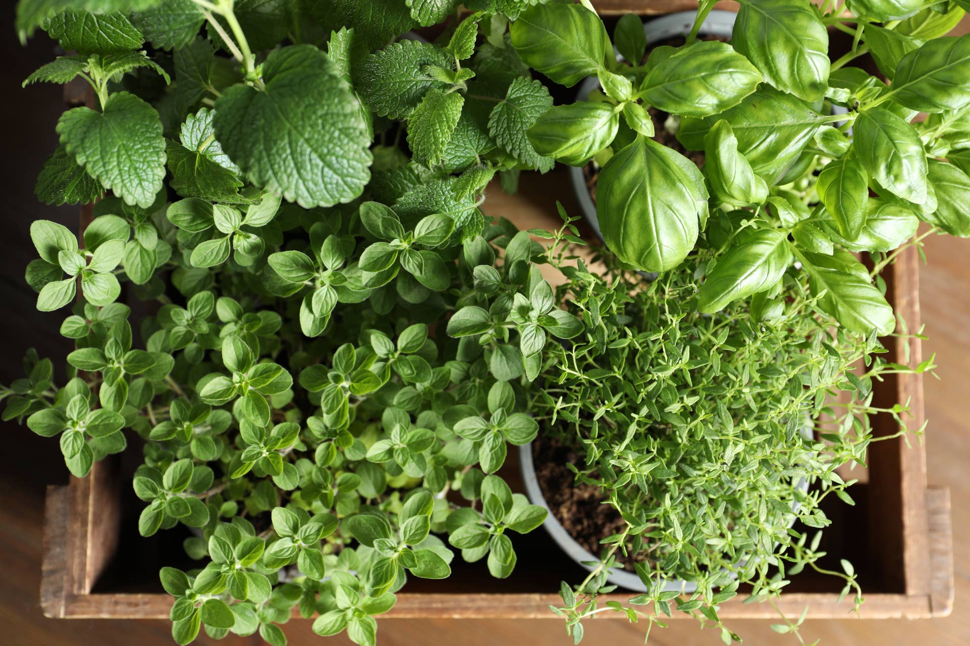 Gardener Uses Dollar Store Stacking Planters and a Broom Handle to ...